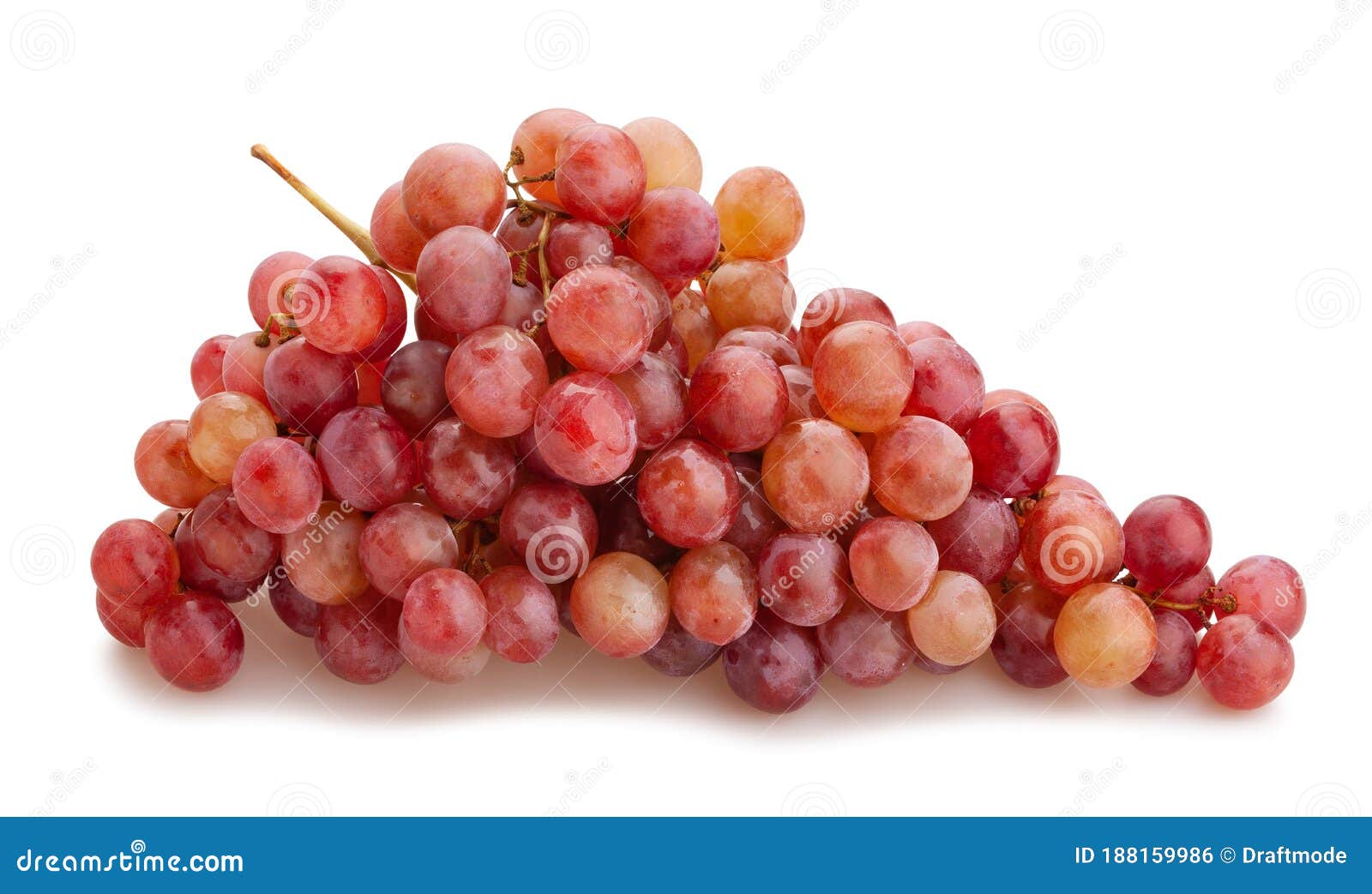 Uva rosa foto de archivo. Imagen de manojo, camino, sano - 188159986