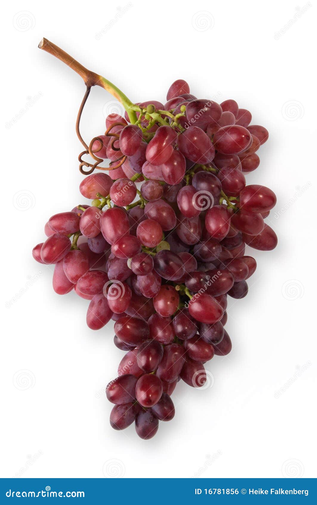 Uva rossa fotografia stock. Immagine di bacca, nutrizione - 16781856