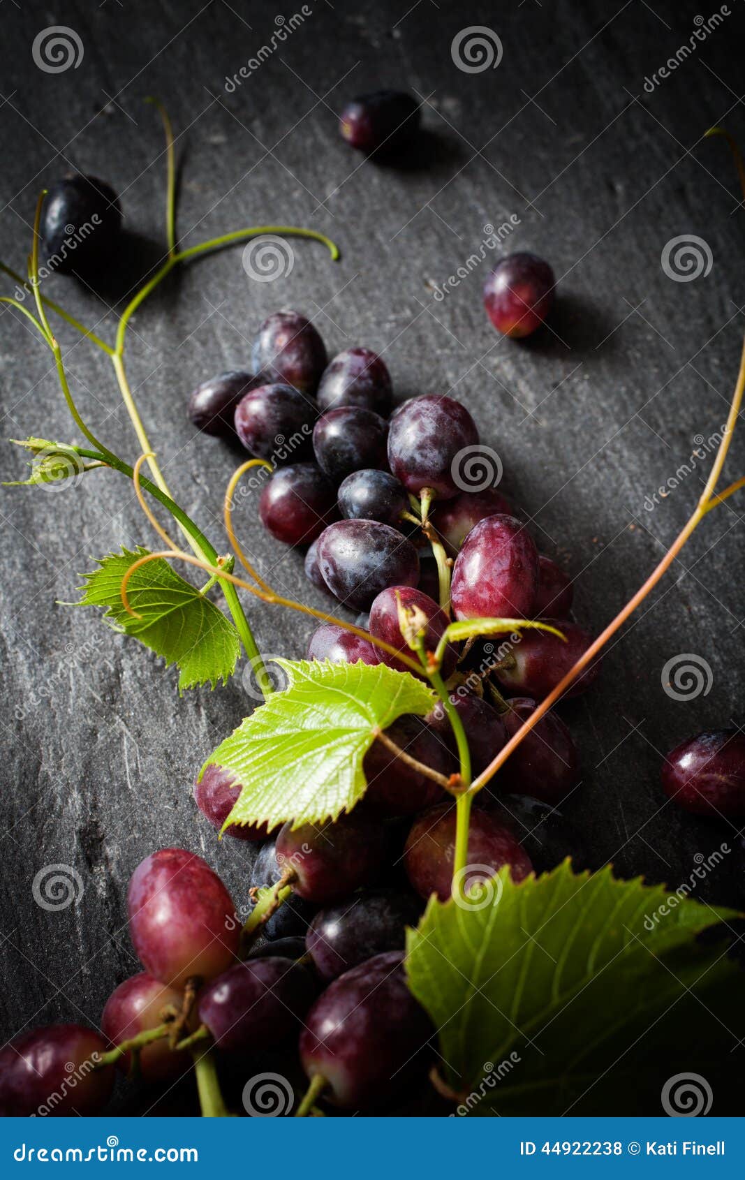 Uva rossa fotografia stock. Immagine di frutta, agricoltura - 44922238