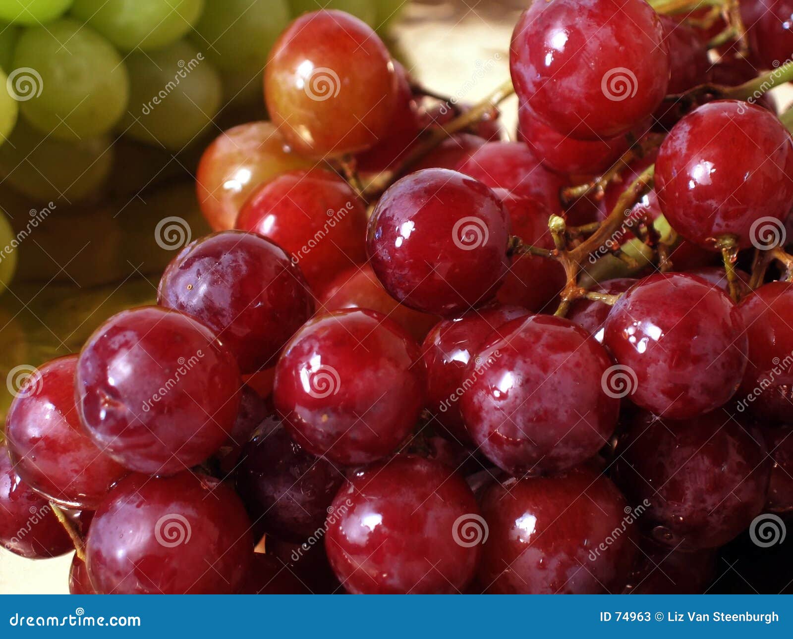 Uva rossa immagine stock. Immagine di sugoso, mazzo, rotondo - 74963