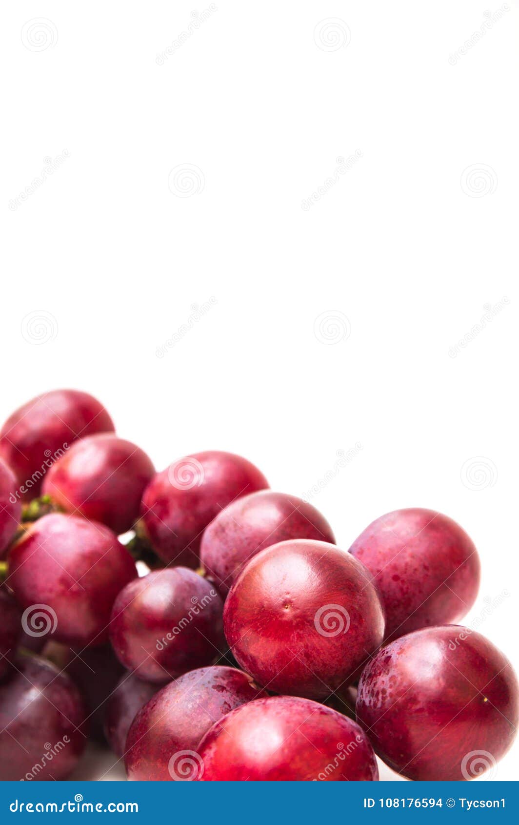 Uva rossa isolata fotografia stock. Immagine di fogli - 108176594