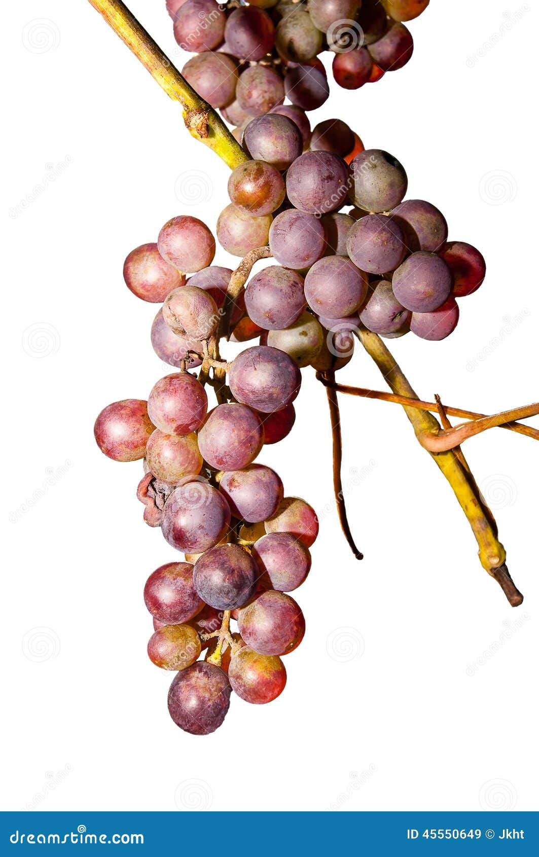 Uva rossa - isolata immagine stock. Immagine di alcool - 45550649