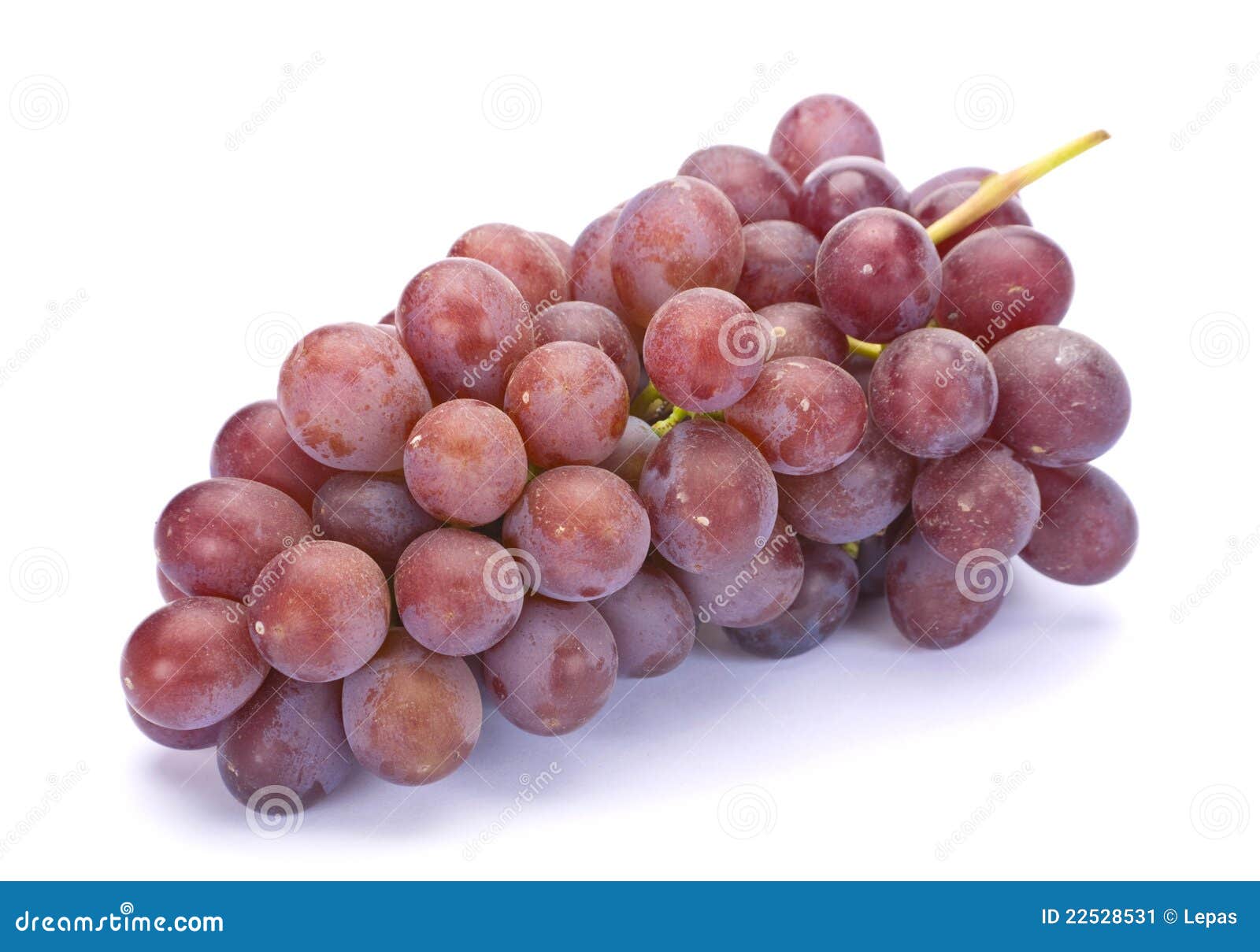 Uva roxa fresca imagem de stock. Imagem de fruta, doce - 22528531