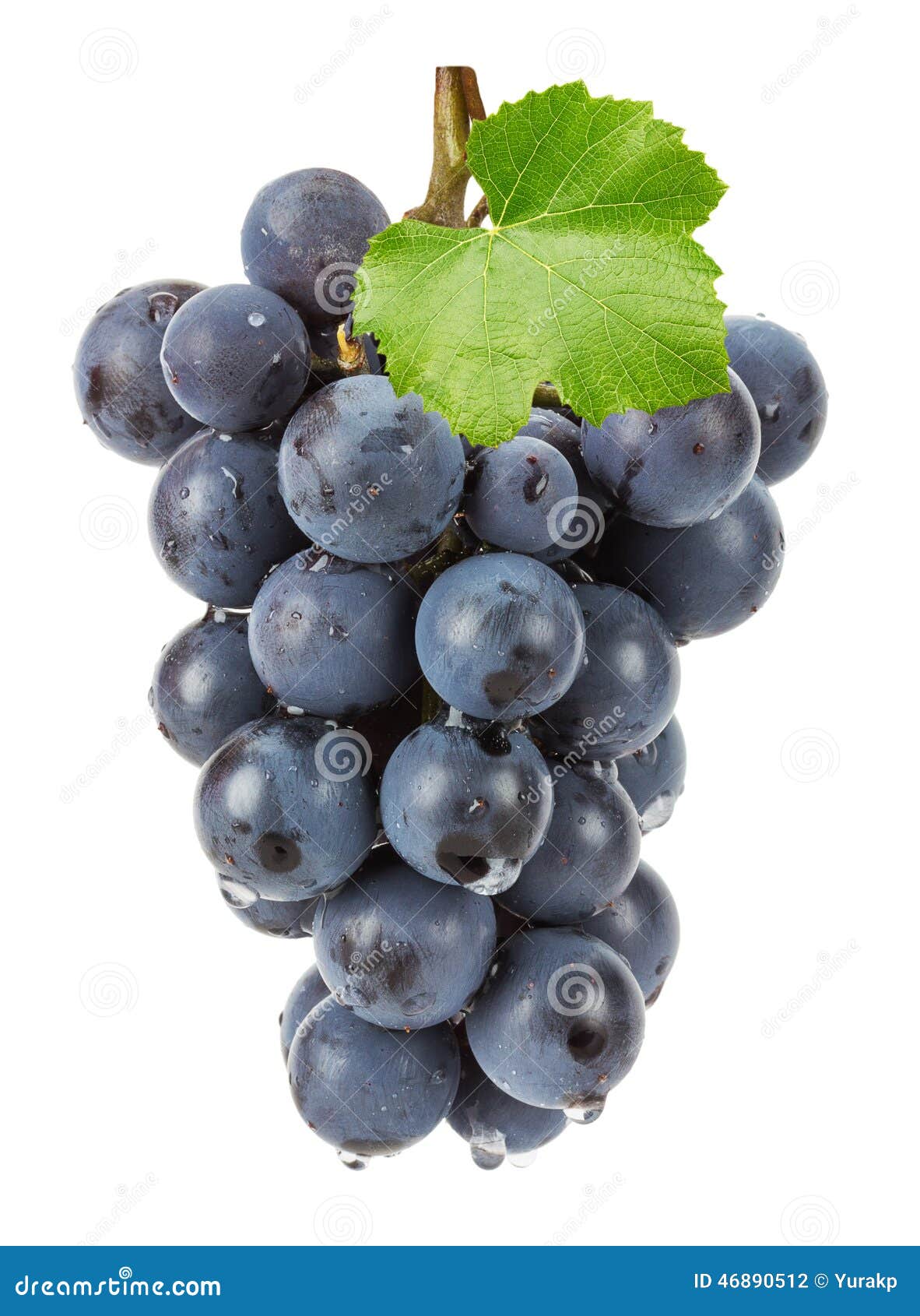 Uva Roxa Isolada No Fundo Branco Foto de Stock - Imagem de vermelho ...