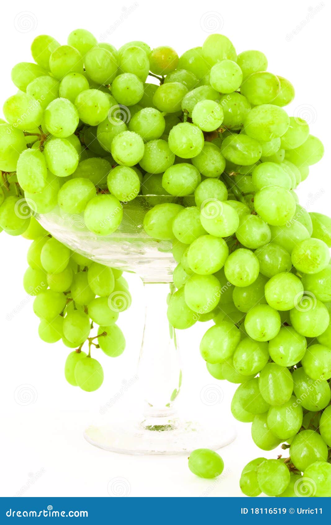 Uva verde imagem de stock. Imagem de grupo, vaso, baga - 18116519
