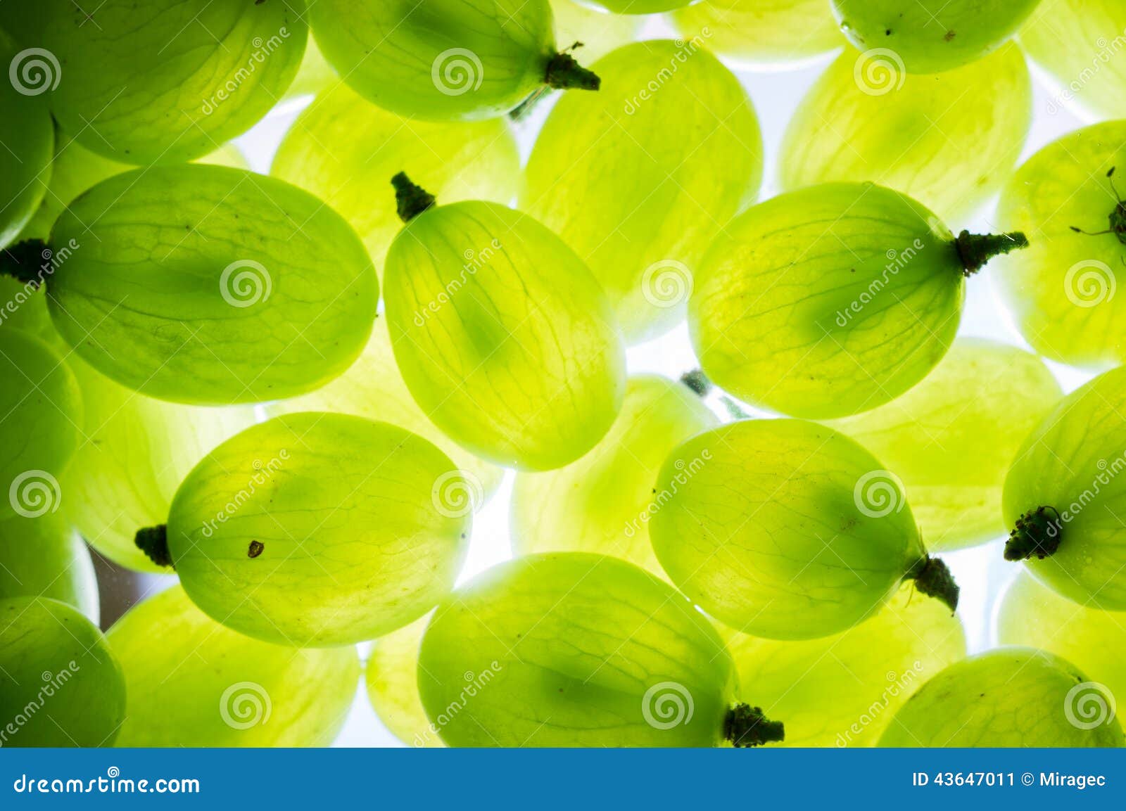 Uva verde imagem de stock. Imagem de verde, ainda, doce - 43647011
