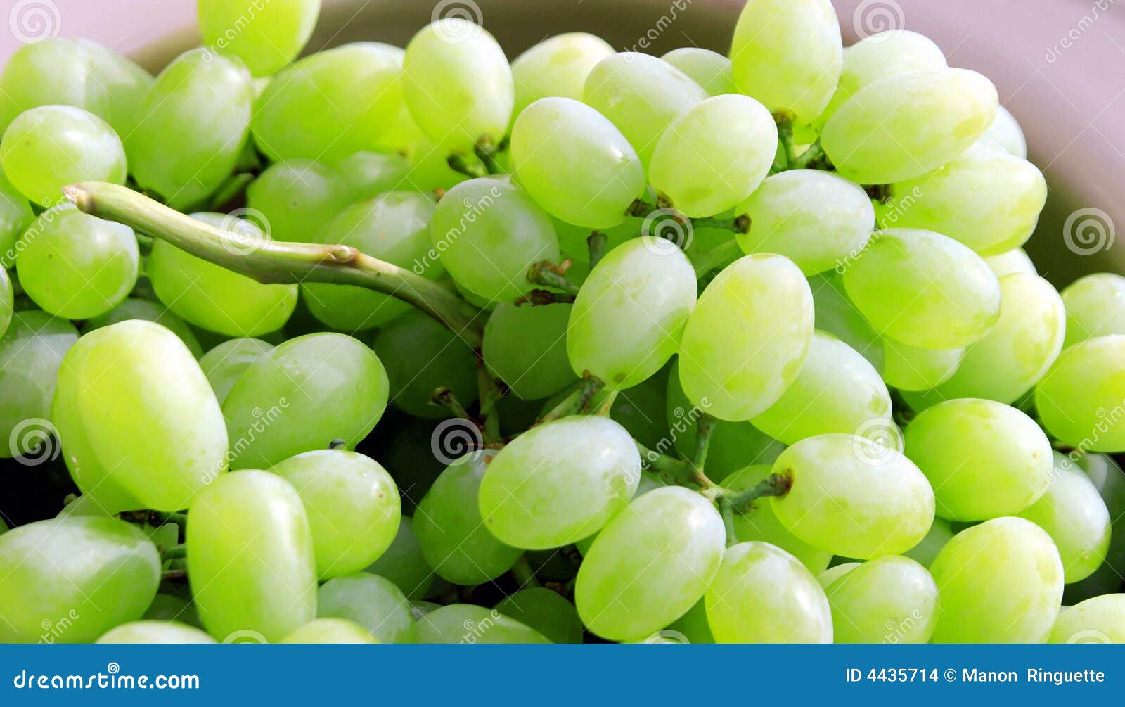 Uva Verde Immagine. Immagine: 4435714