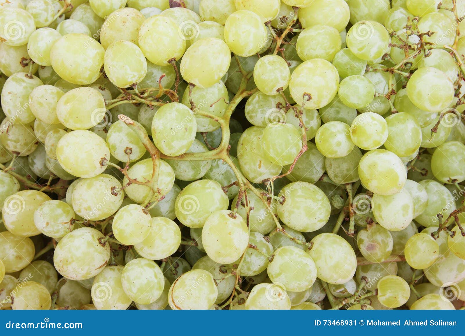 Uva verde imagen de archivo. Imagen de cosecha, vegetariano - 73468931