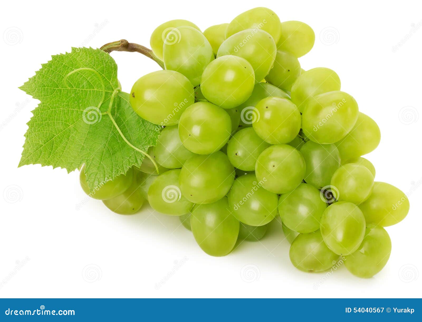 Uva Verde Aislada En El Fondo Blanco Imagen de archivo - Imagen de ...