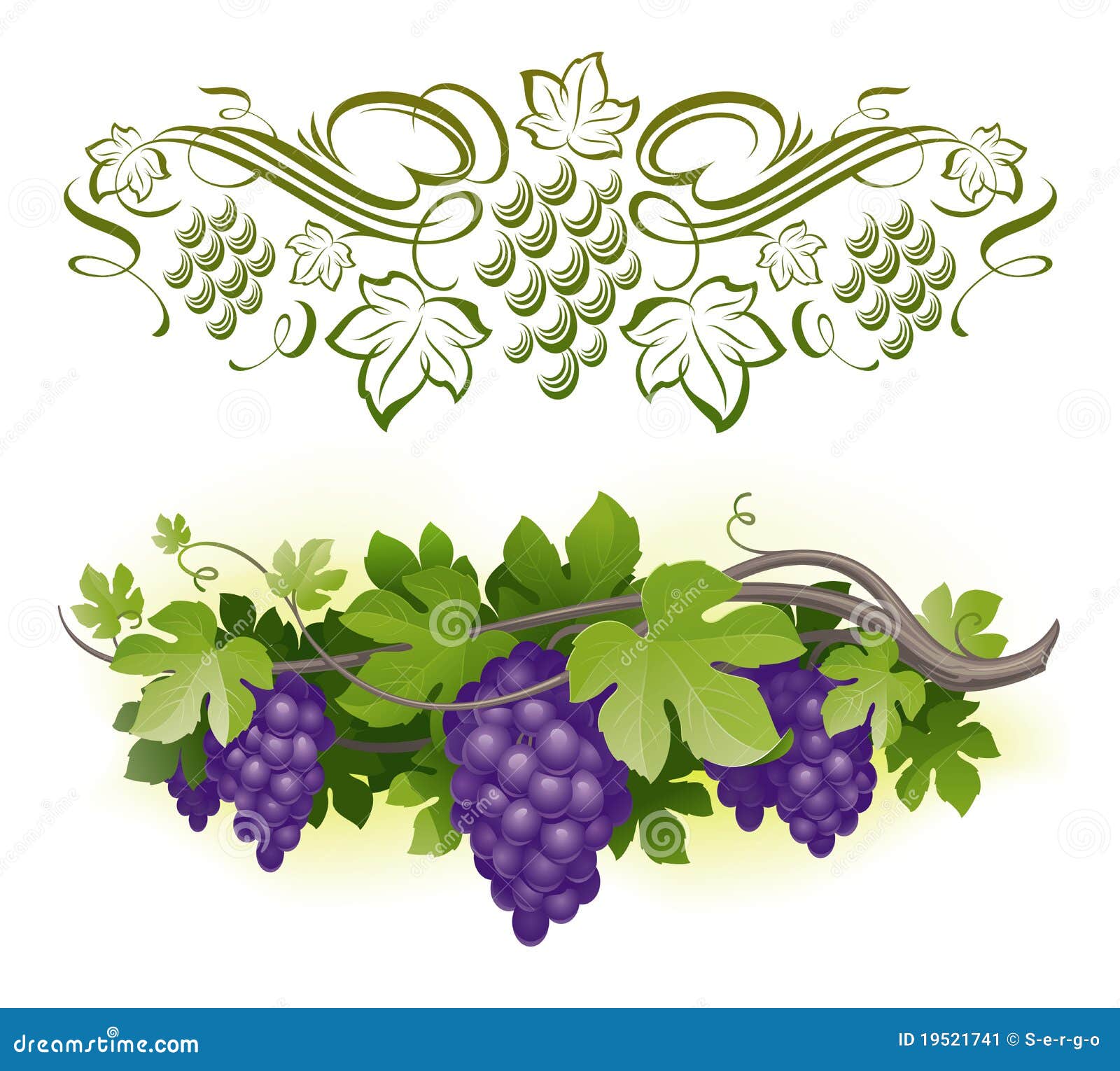 Uvas ilustración del vector. Ilustración de ornamental - 19521741