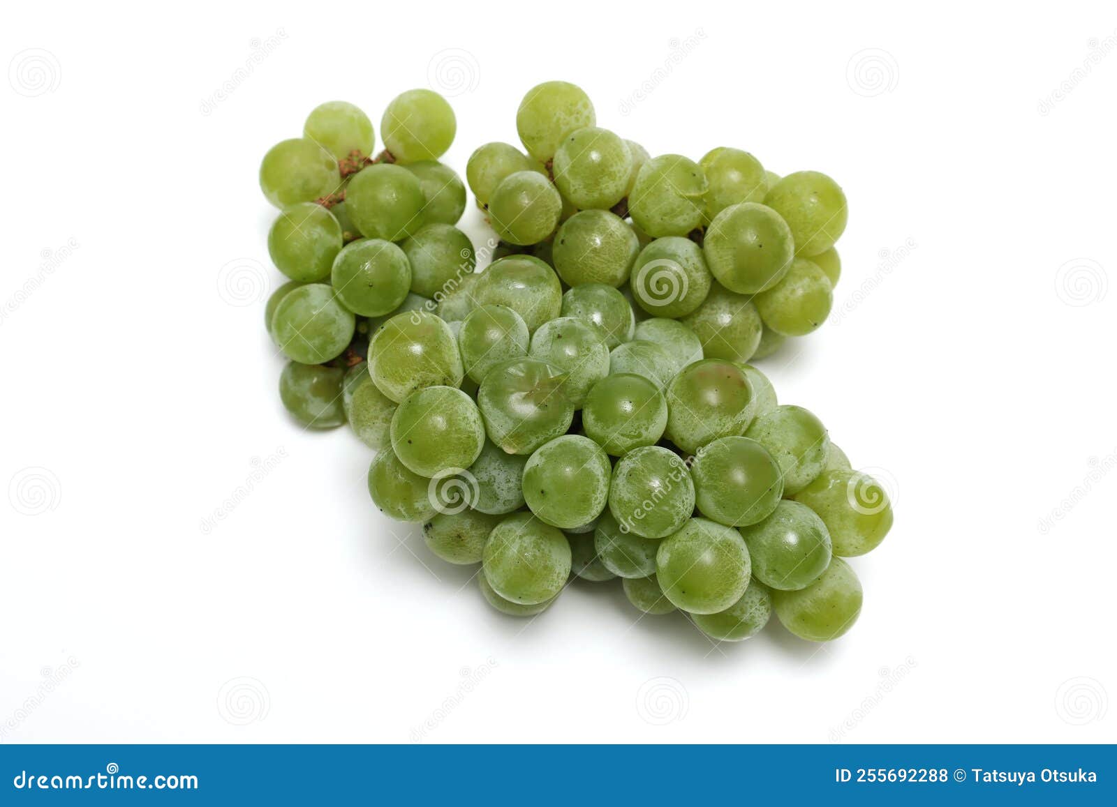 Uvas Aisladas En Un Fondo Blanco. Foto de archivo - Imagen de sano ...
