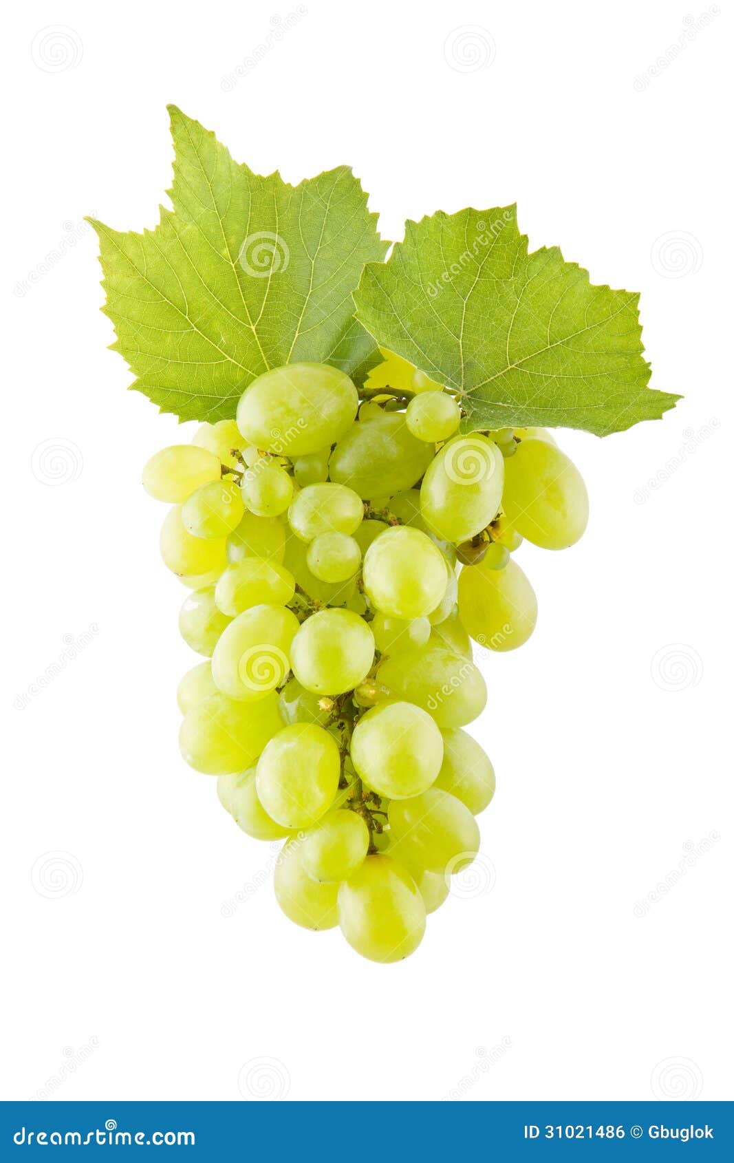 Uvas en blanco foto de archivo. Imagen de verde, aislado - 31021486