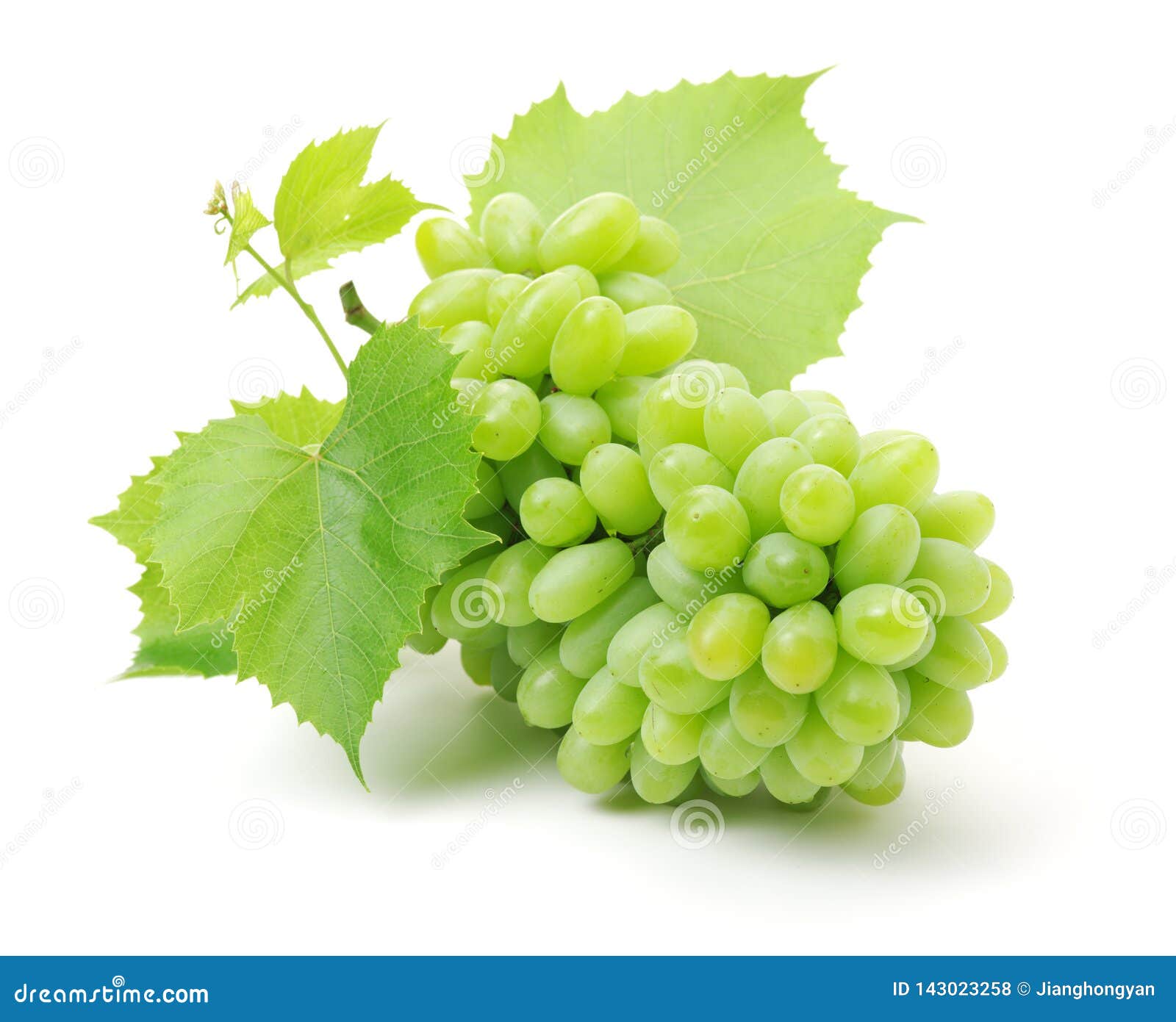 Uvas en el fondo blanco foto de archivo. Imagen de manojo - 143023258