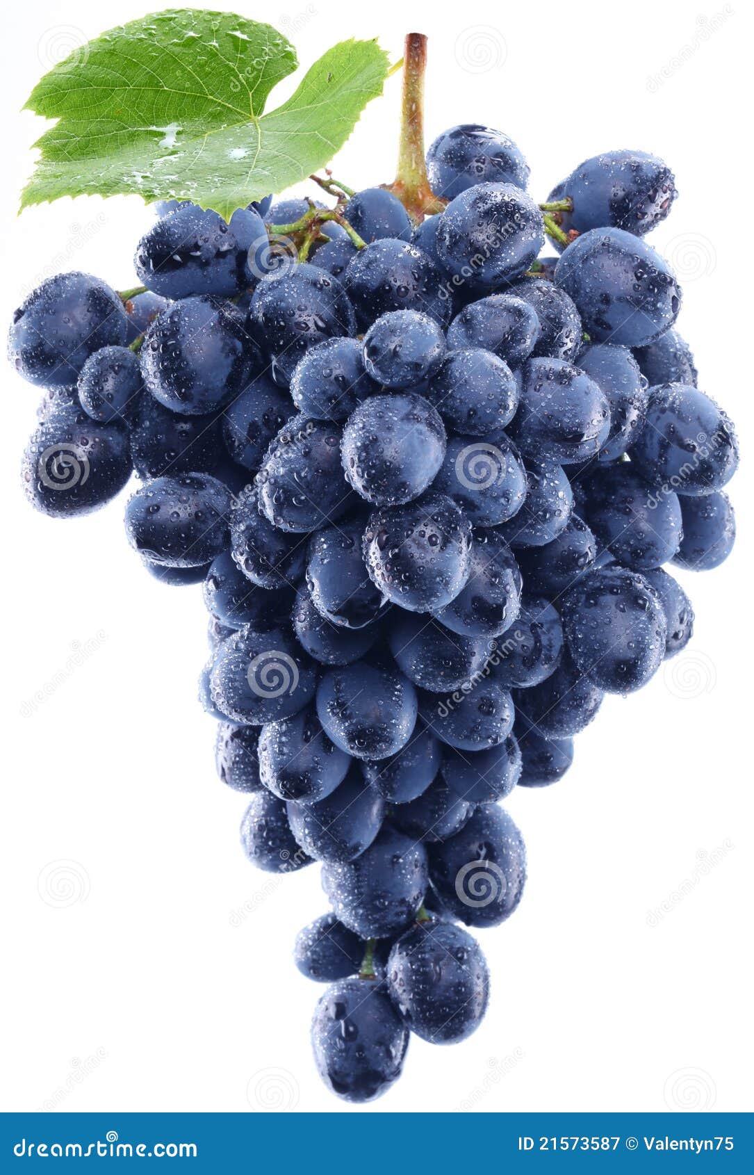 Uvas en un fondo blanco. imagen de archivo. Imagen de sano - 21573587