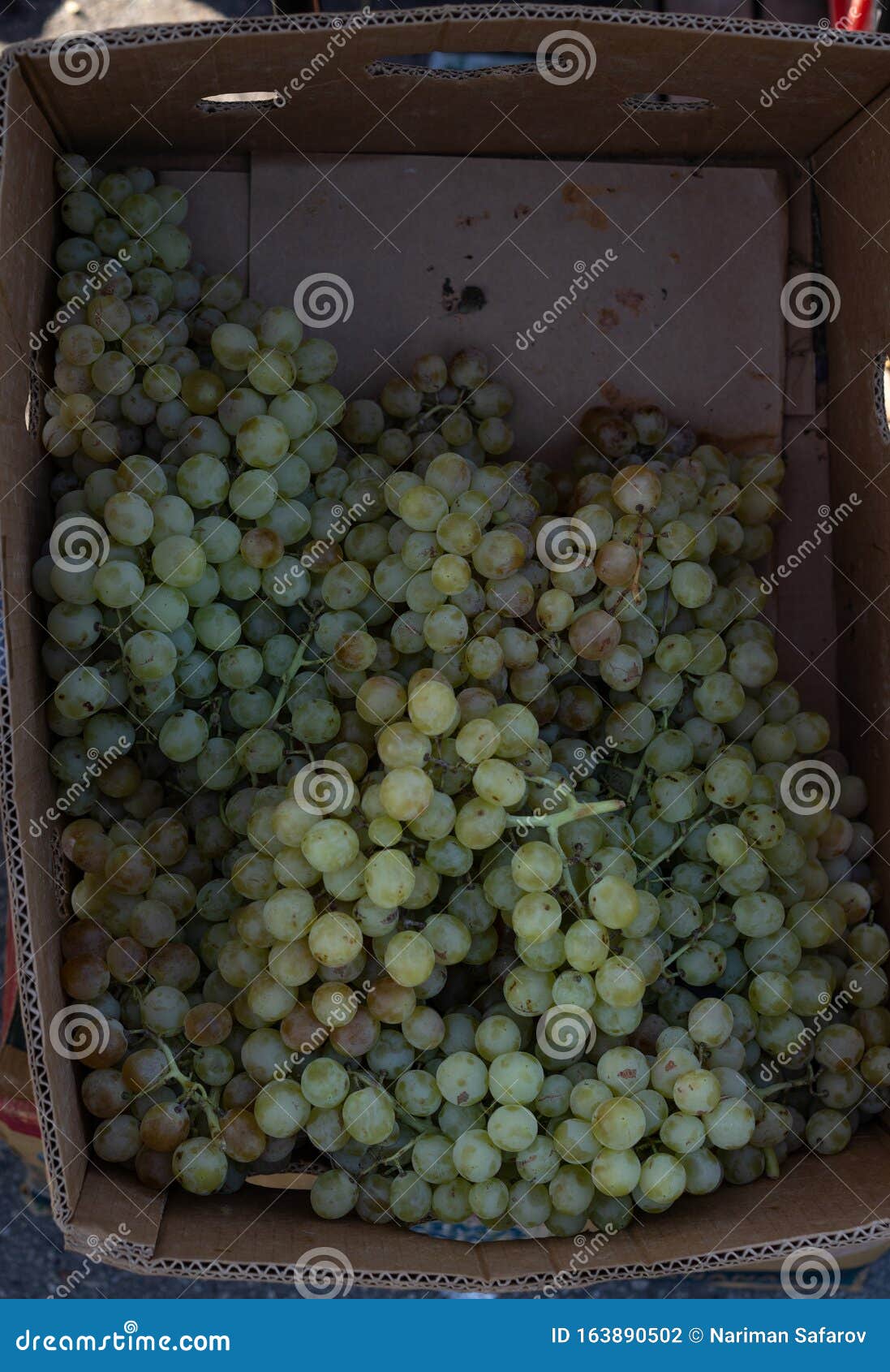 Uvas En Una Caja a La Venta Foto de archivo - Imagen de uvas, fresco ...