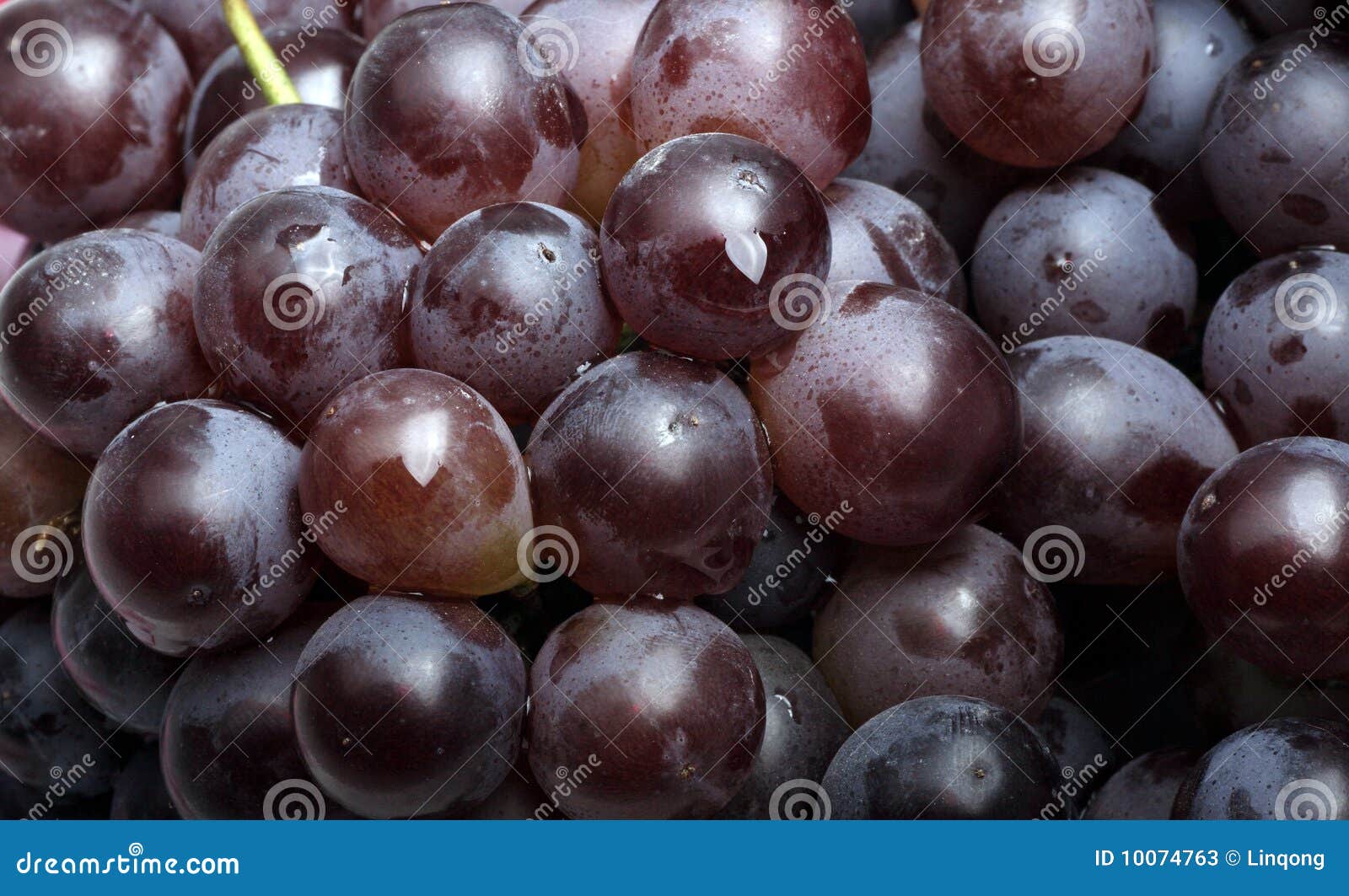 Uvas frescas imagen de archivo. Imagen de norte, vitamina - 10074763