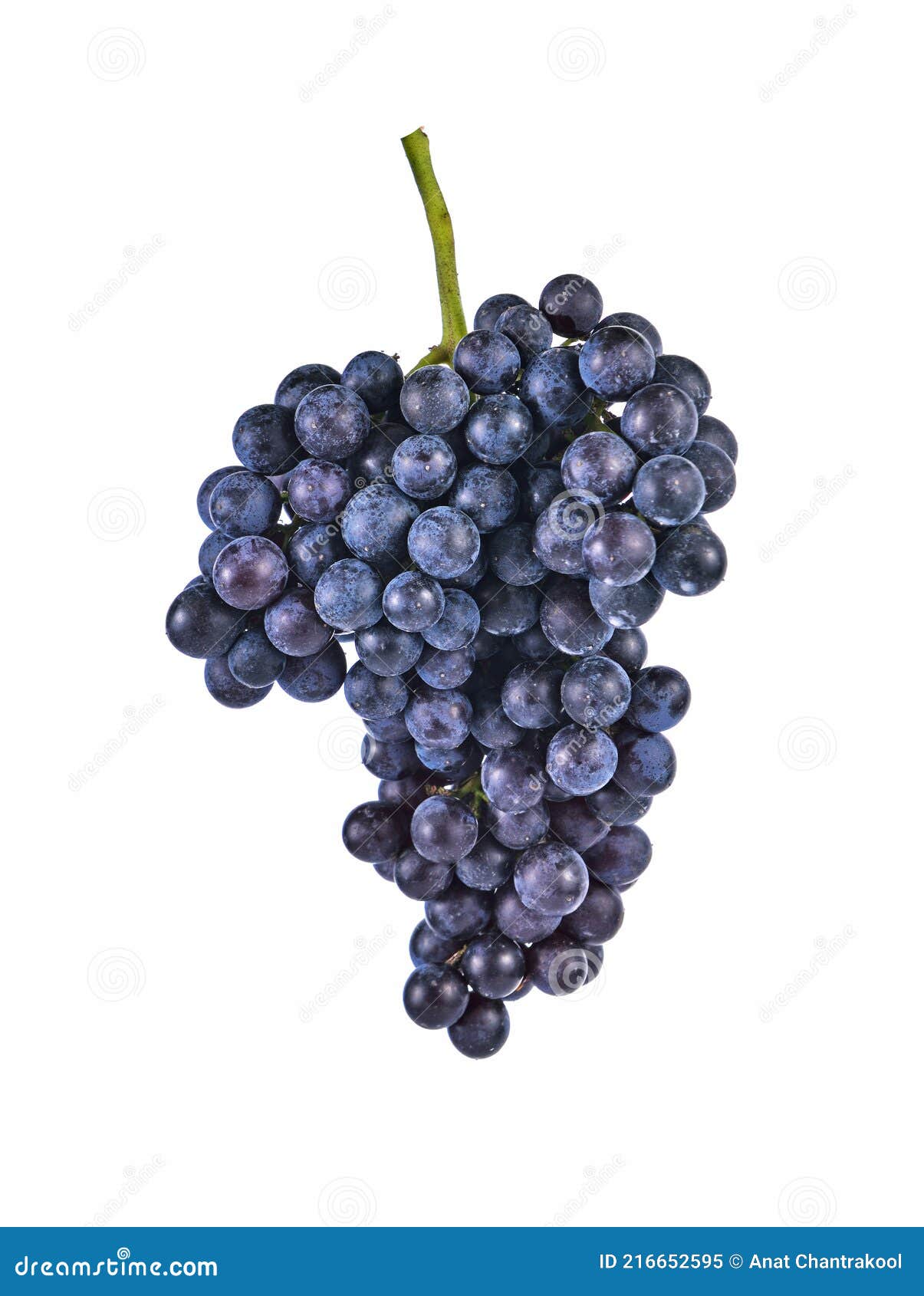 Uvas Moradas Aisladas Sobre Fondo Blanco Imagen de archivo - Imagen de ...