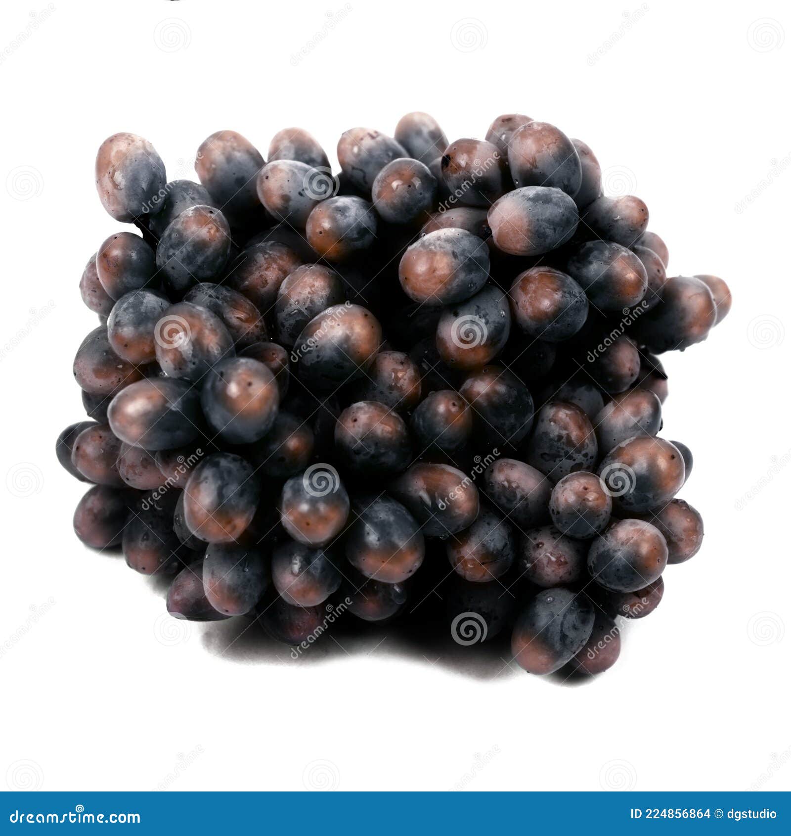 Uvas negras variadas foto de archivo. Imagen de verde - 224856864