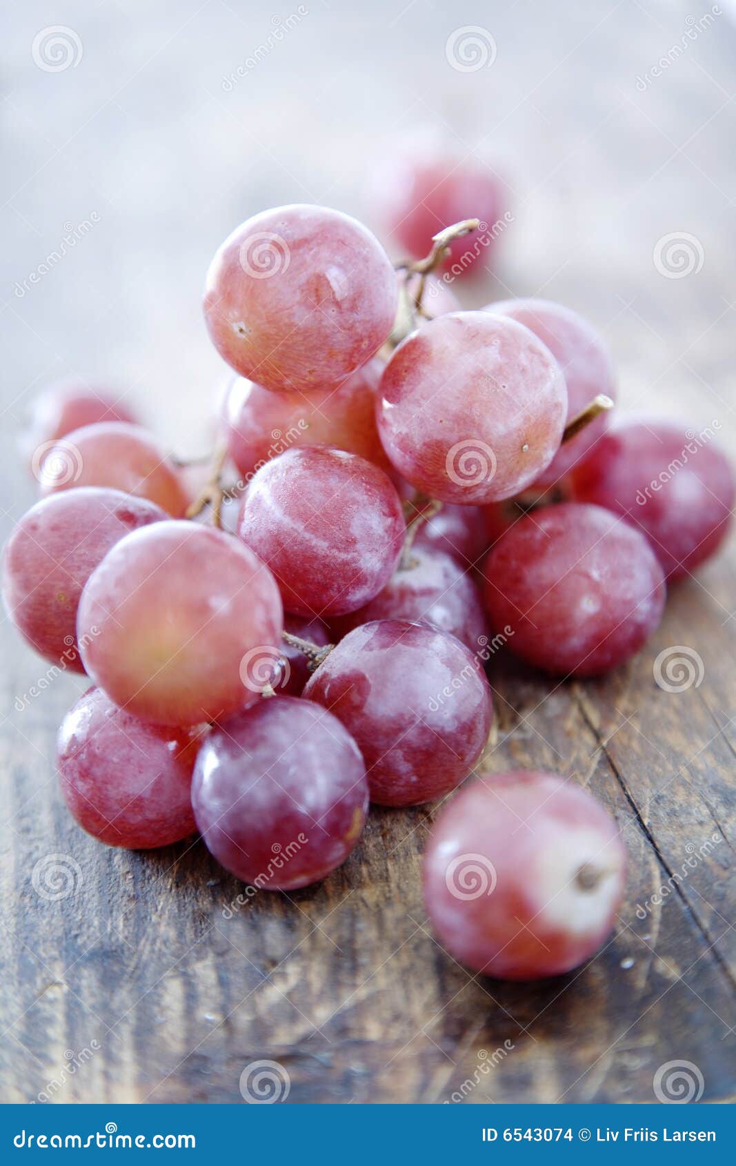 Uvas rojas foto de archivo. Imagen de uvas, crudo, maduro - 6543074