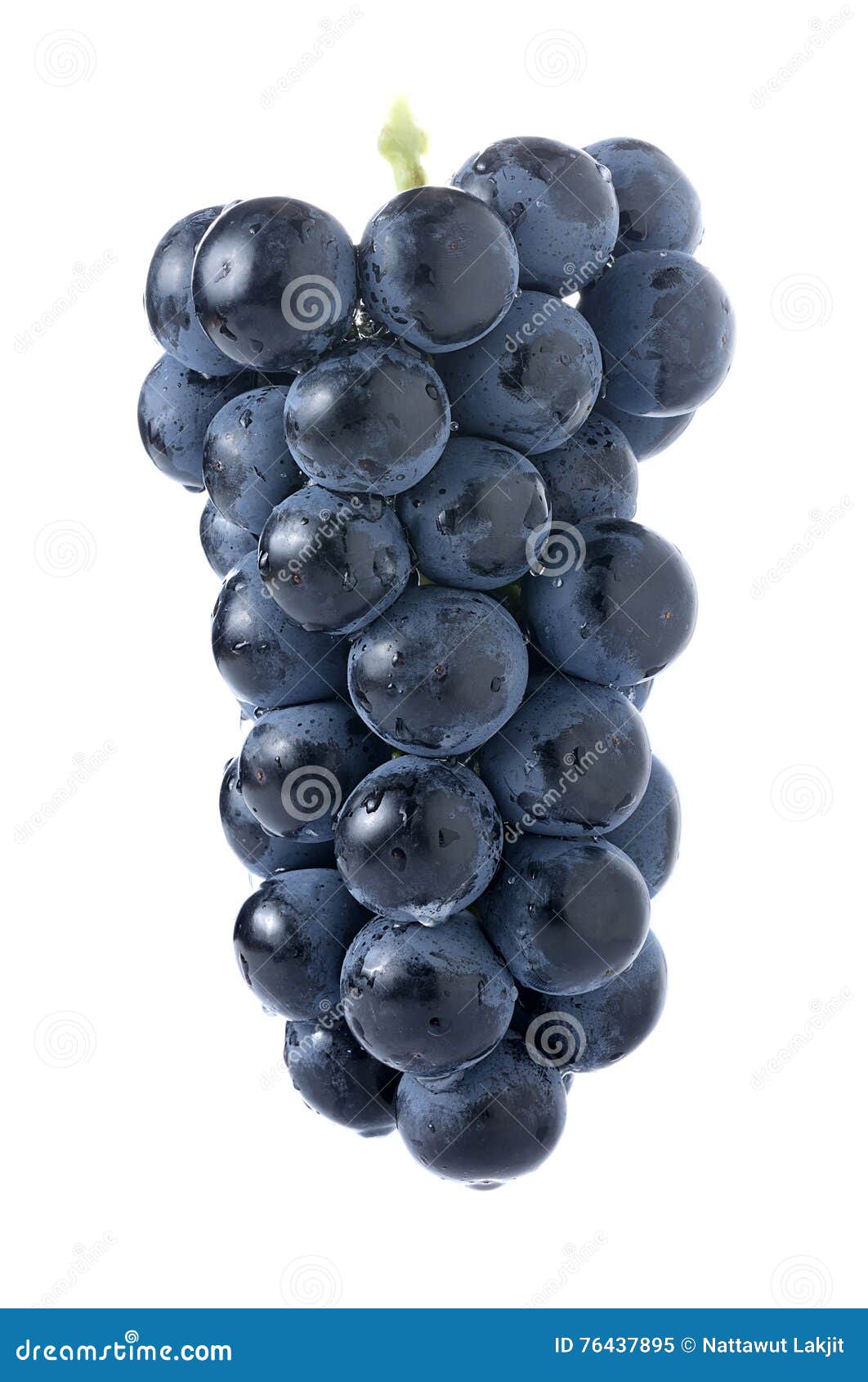 Uvas Sem Sementes Pretas Isoladas No Fundo Branco Imagem de Stock ...