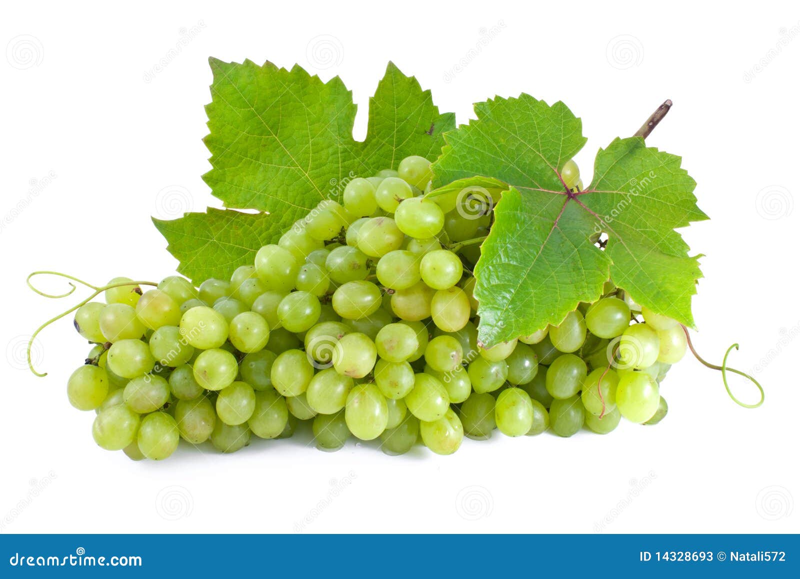 Uvas verdes. imagen de archivo. Imagen de agricultura - 14328693