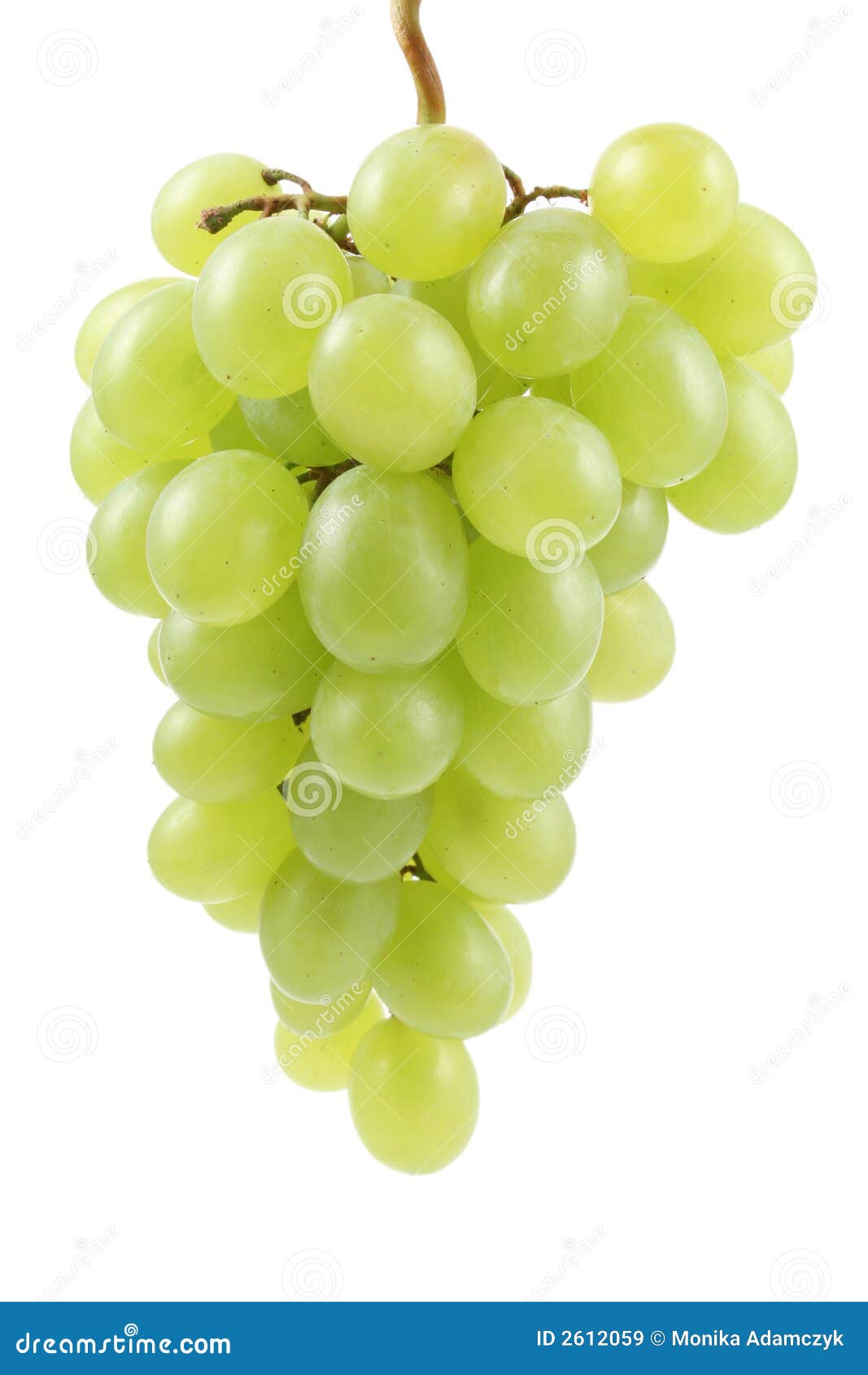 Uvas Verdes Imágenes de archivo libres de regalías - Imagen: 2612059