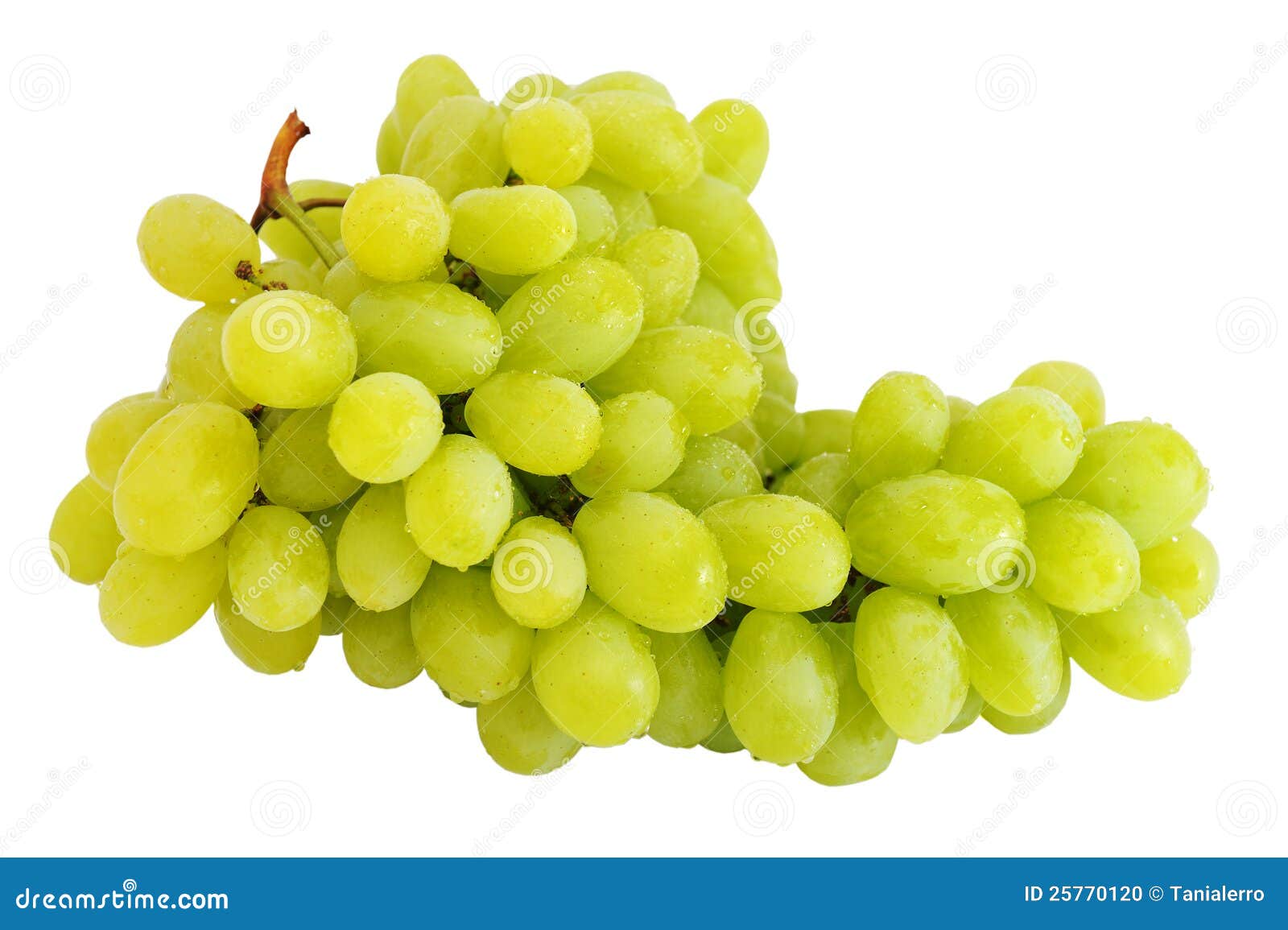 Uvas verdes frescas foto de archivo. Imagen de racimo - 25770120