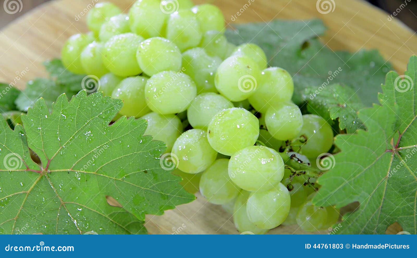 Uvas verdes (no loopable) almacen de video. Vídeo de agricultura - 44761803