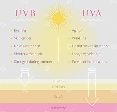 UVB and UVA Ultraviolet Rays Difference. Inforgaphics about Sun Rays ...