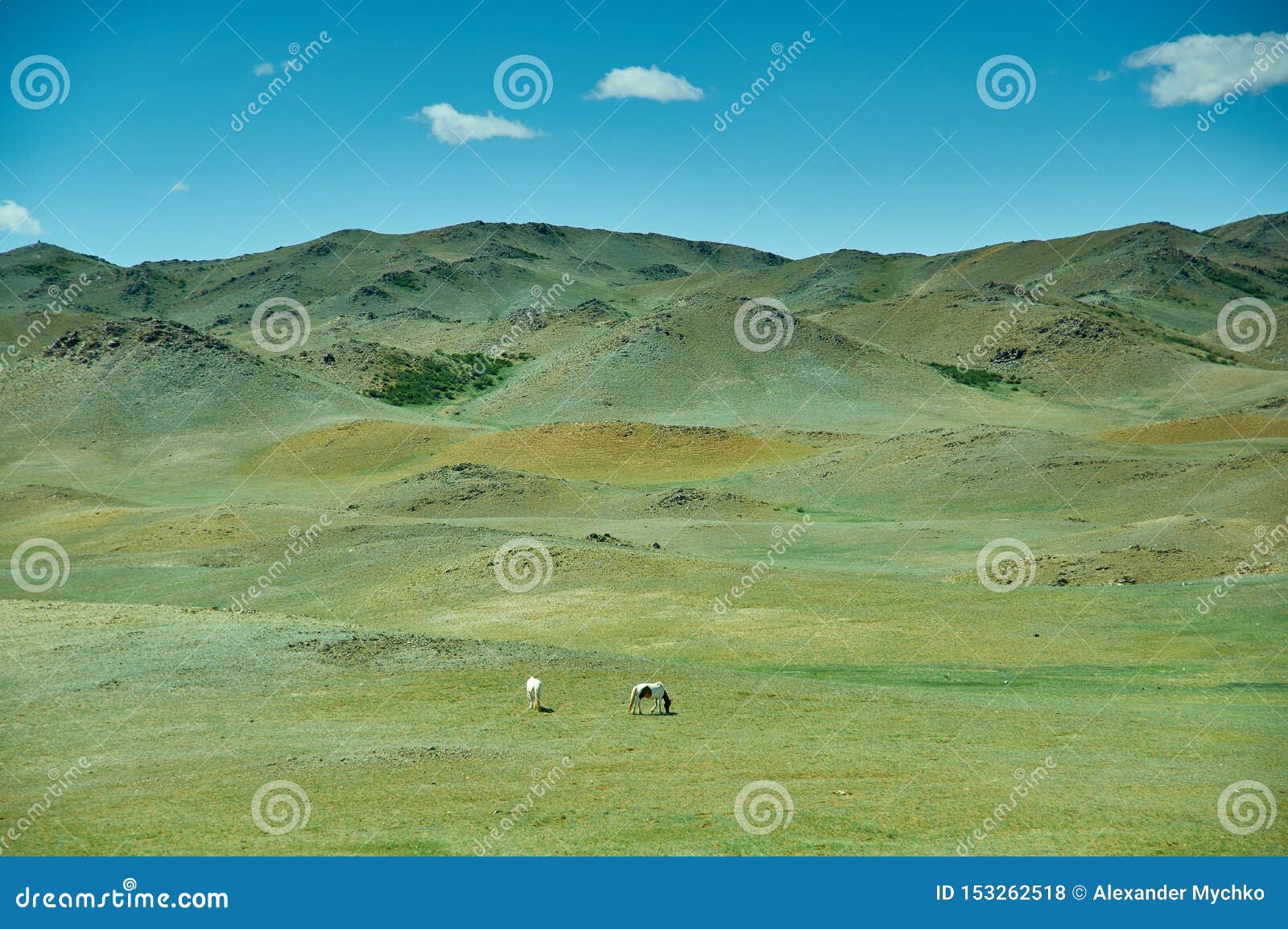 Uvs Province in Mongolia stock photo. Image of asian - 153262518