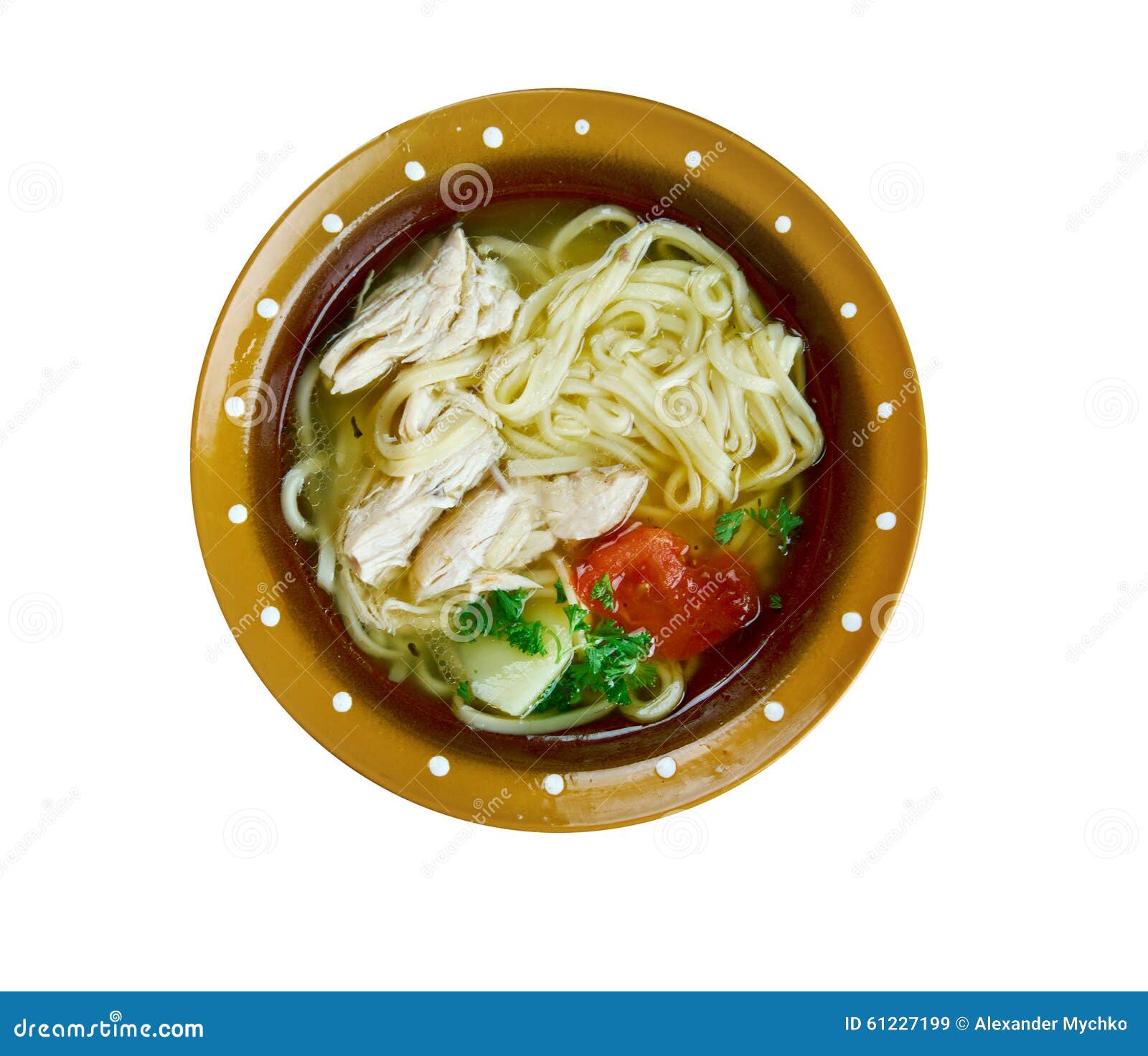 Uzbek chicken soup stock image. Image of onions, spicy - 61227199