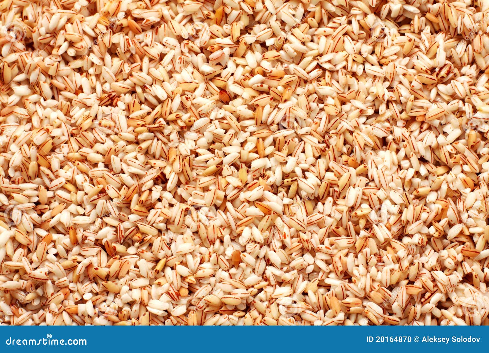 Uzbek rice stock photo. Image of rice, grain, food, seed - 20164870