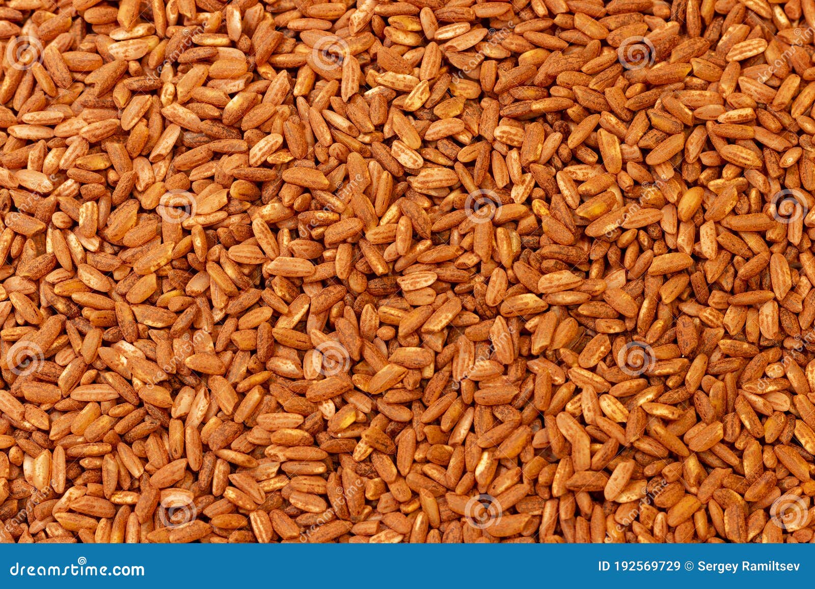 Rice Devzira of Red-brown Color, Intended for the Preparation of Pilaf ...