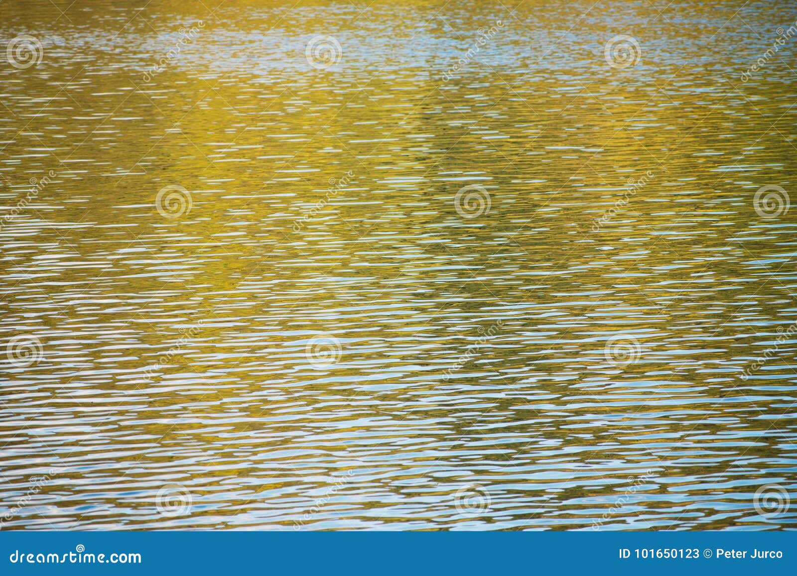 VÃ¡h - river stock image. Image of bright, environment - 101650123