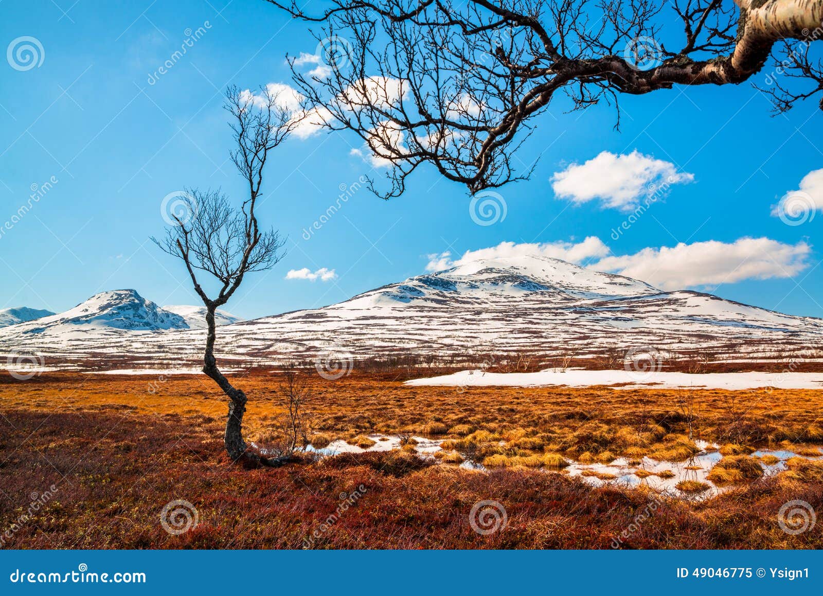 Vårbild Från De Svenska Bergen Fotografering för Bildbyråer - Bild av ...