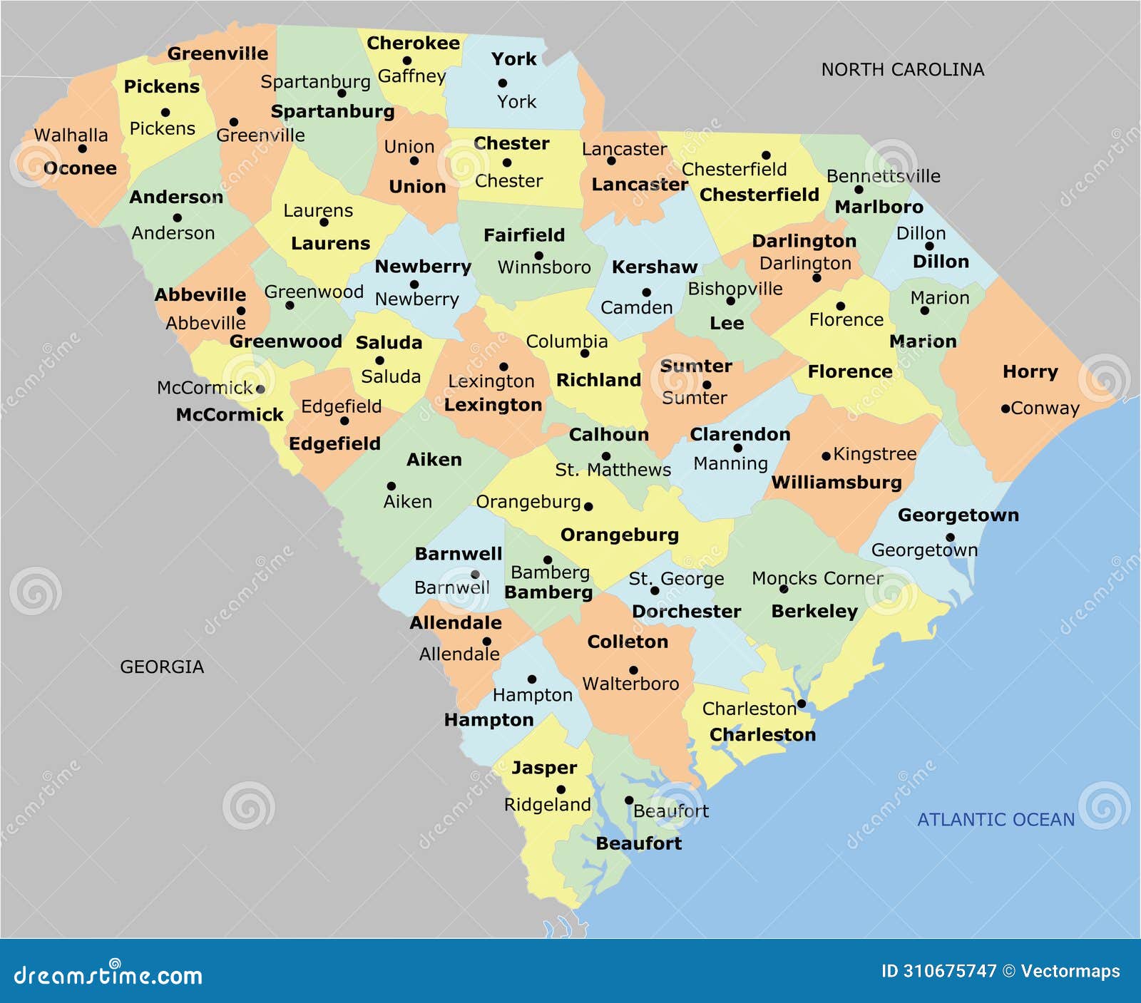 South Carolina County Map With 46 Counties Cartoon Vector ...