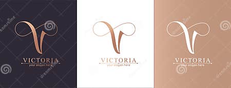 V and Infinity Logo. V Letter Logo Template Elements. Personal Monogram ...