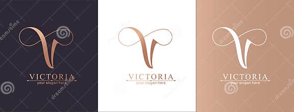 V and Infinity Logo. V Letter Logo Template Elements. Personal Monogram ...