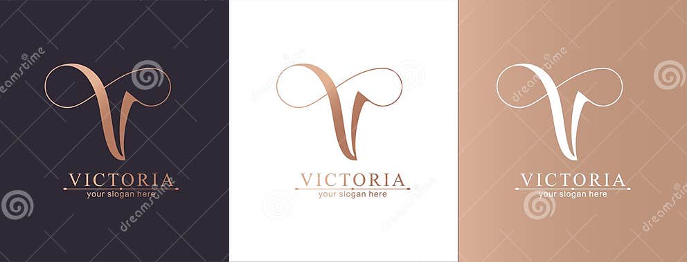 V and Infinity Logo. V Letter Logo Template Elements. Personal Monogram ...