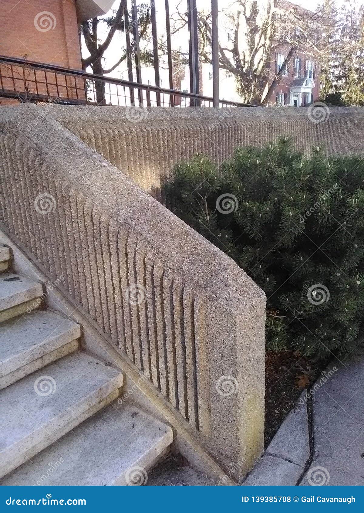 Stairs and Banister with Evergreen Tree Stock Photo - Image of front ...