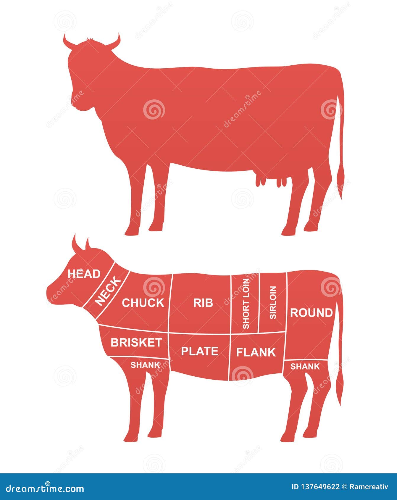 Vaca Cortes Del Esquema De La Carne De Vaca Ilustración del Vector ...