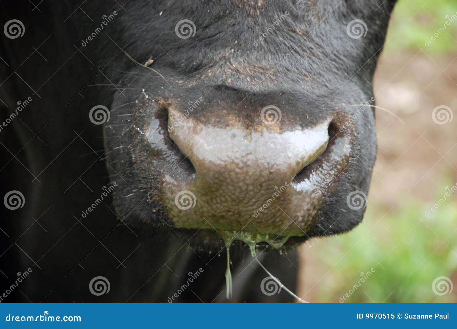 Presentation Name on emaze