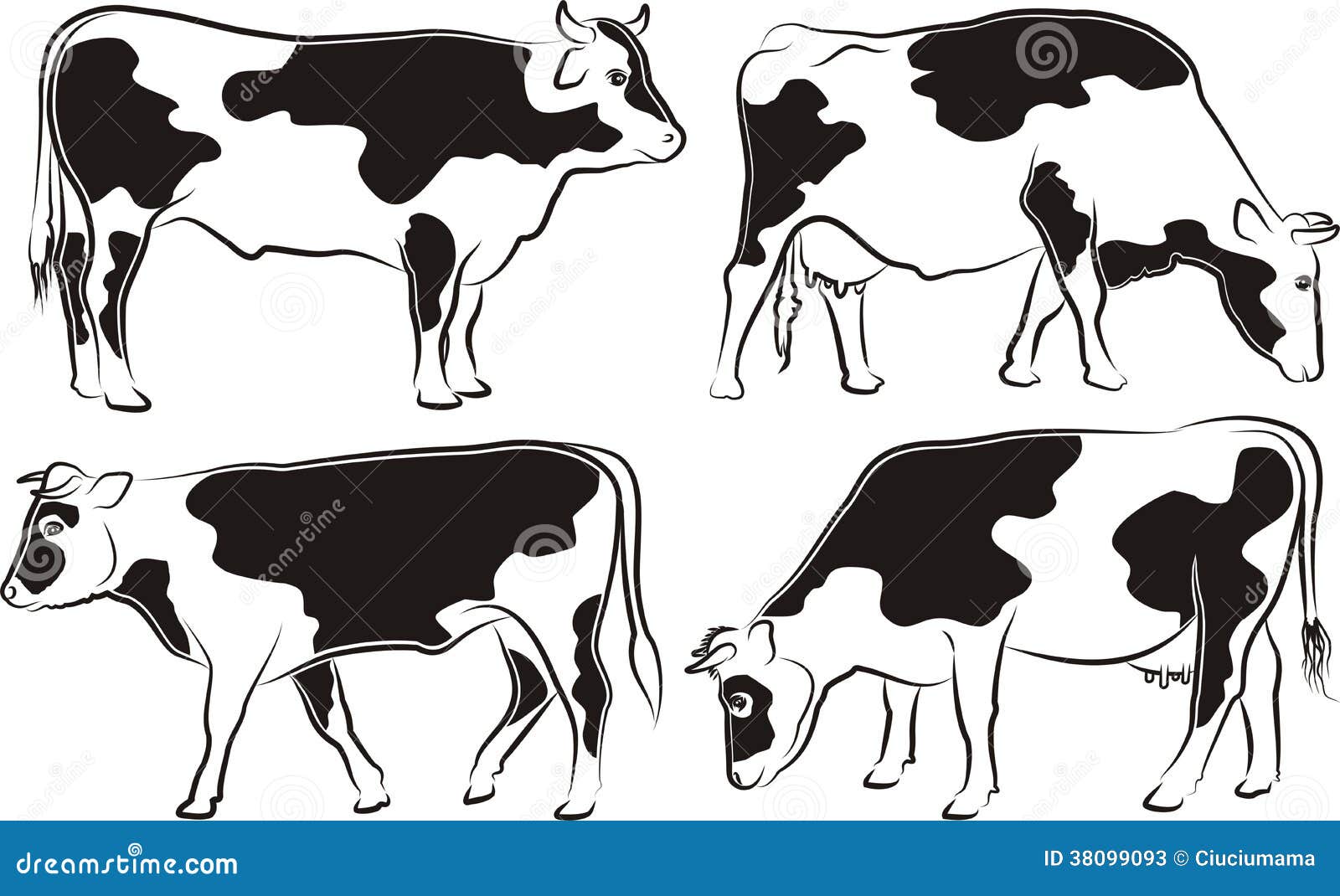 Vaca Y Toro Ilustraciones Stock, Vectores, Y Clipart – (15,760 ...