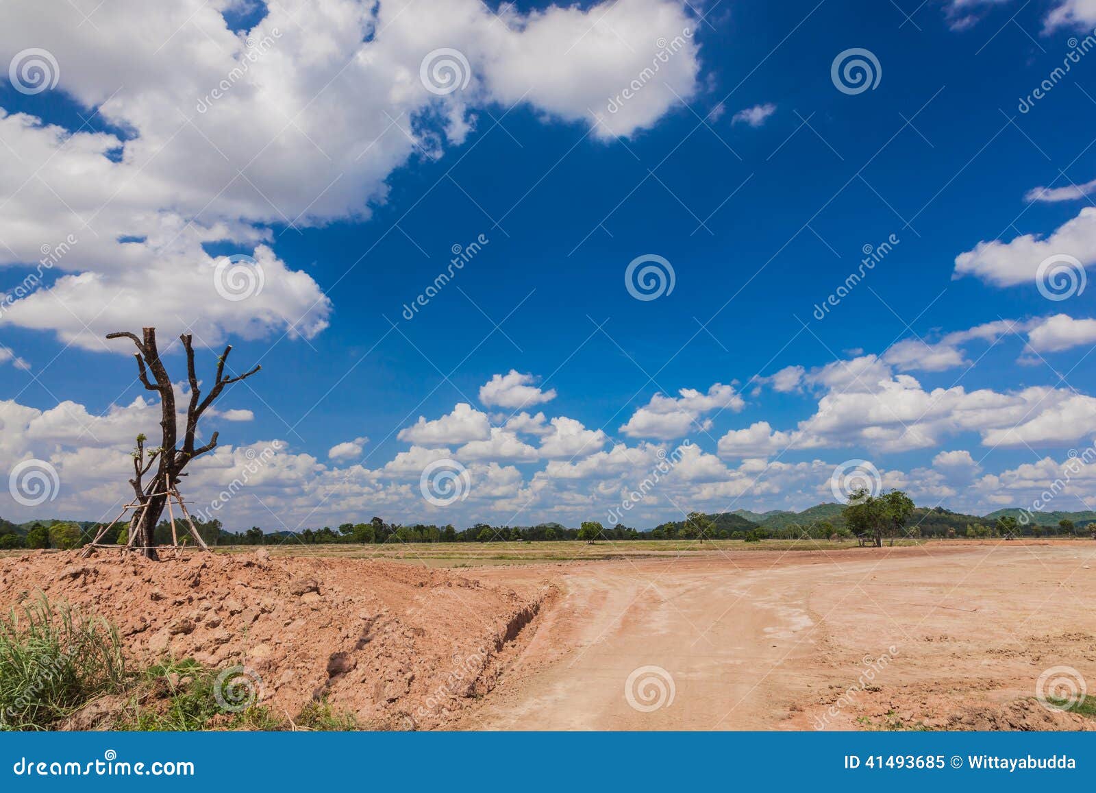 Vacant land stock image. Image of earth, contamination - 41493685