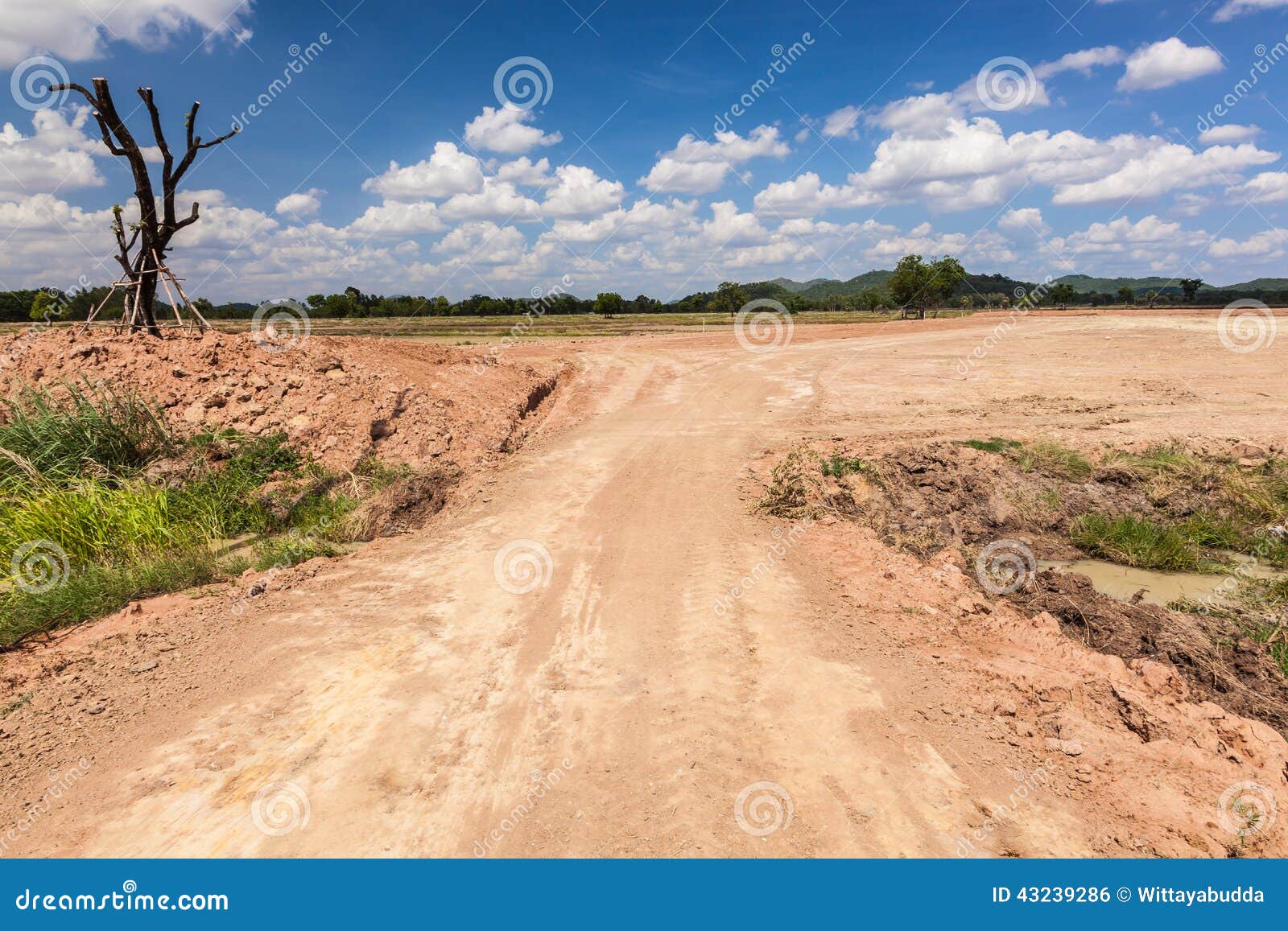 Vacant land stock photo. Image of gardener, flora, plant - 43239286