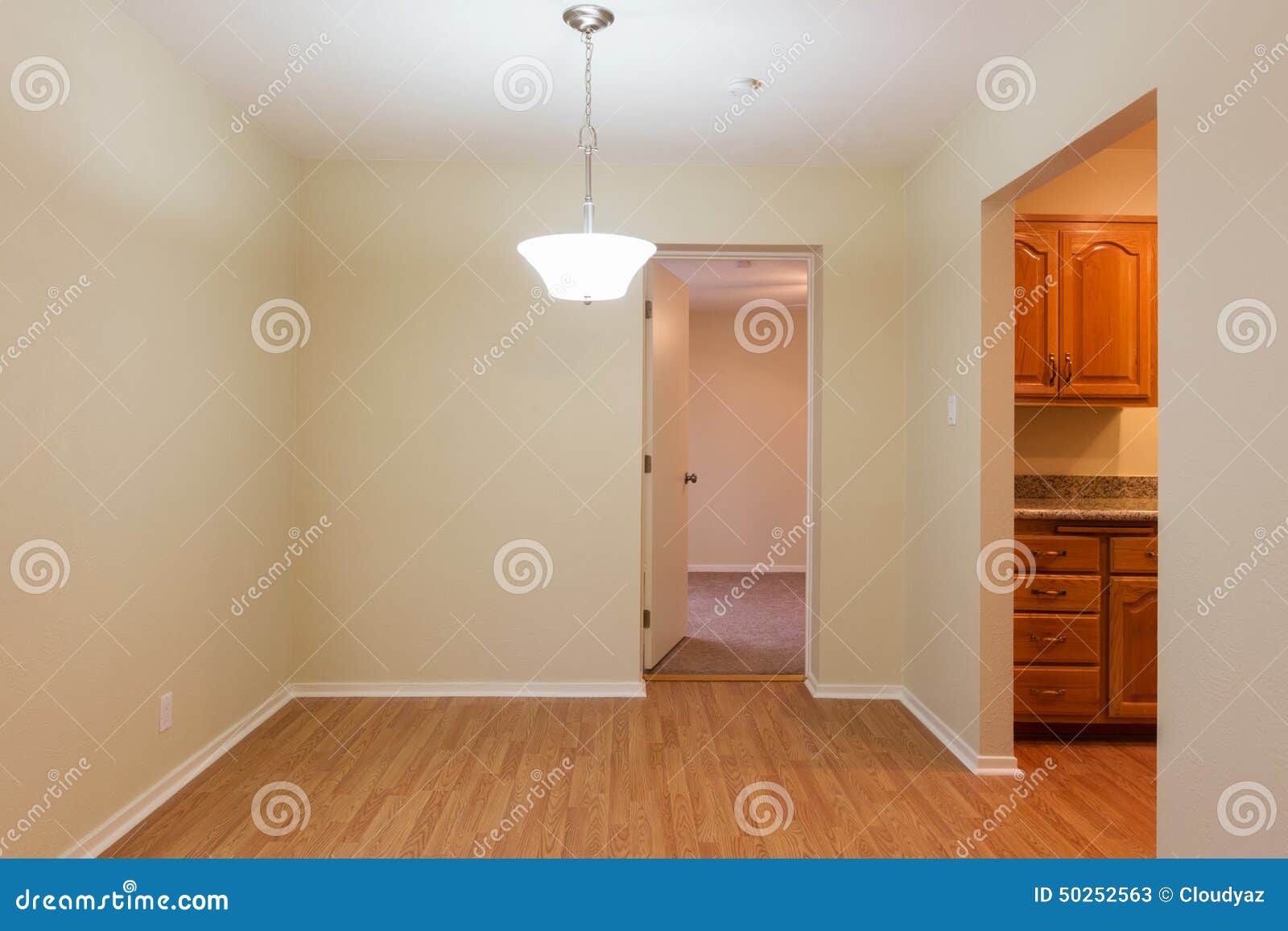 Vacant Room stock image. Image of floor, hardwood, interior - 50252563