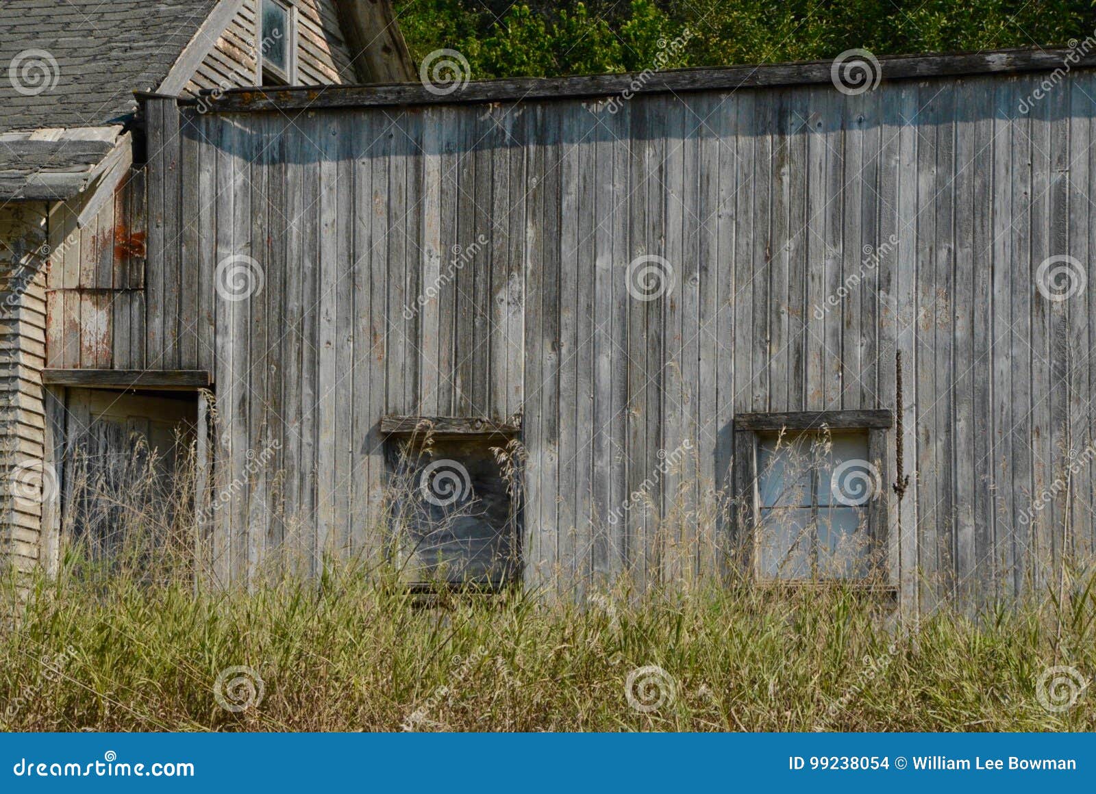 Vacant stock photo. Image of wood, weeds, building, lumber - 99238054
