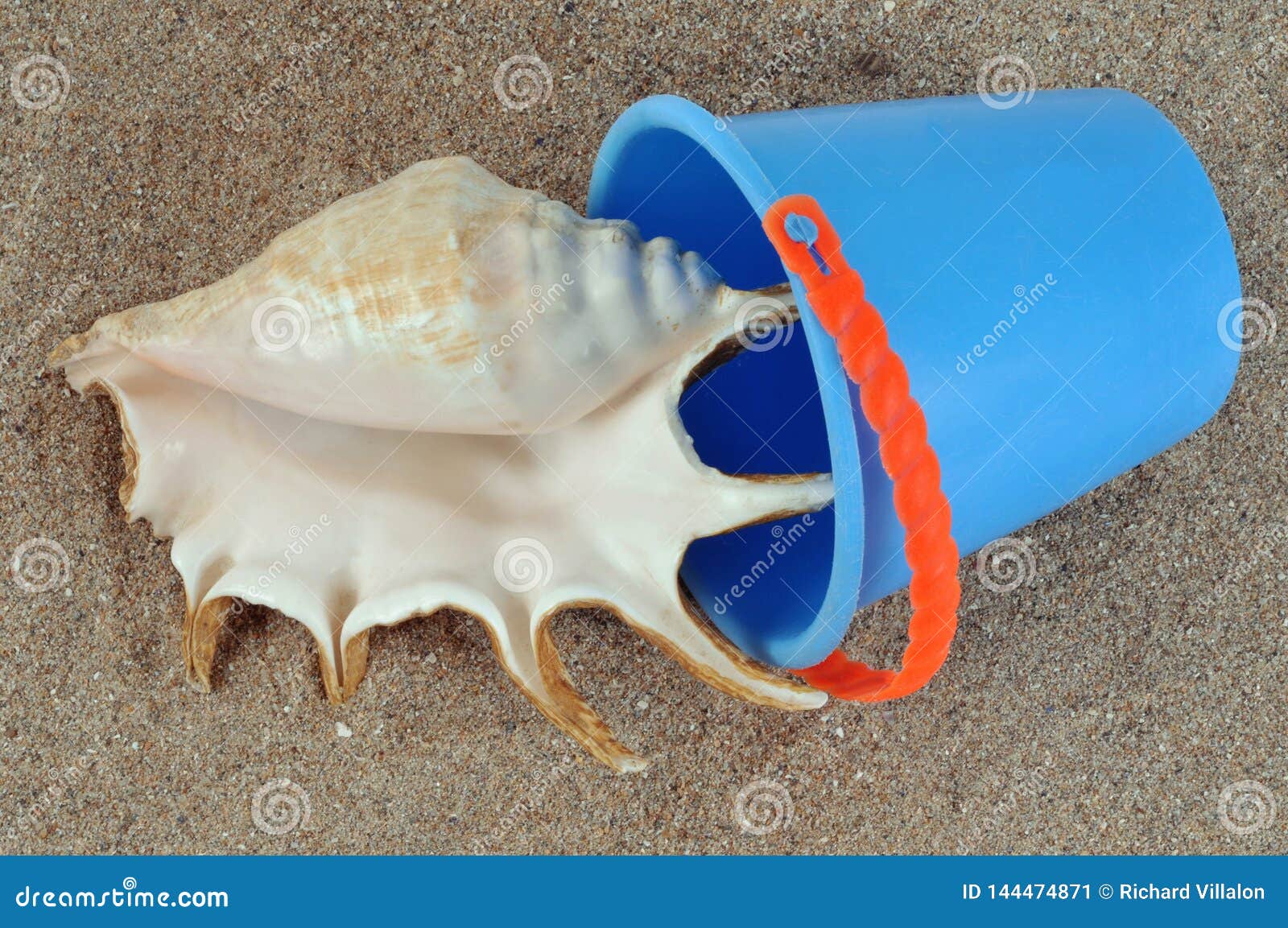 Beach Bucket and Seashell on Sand Stock Image - Image of close, bucket ...
