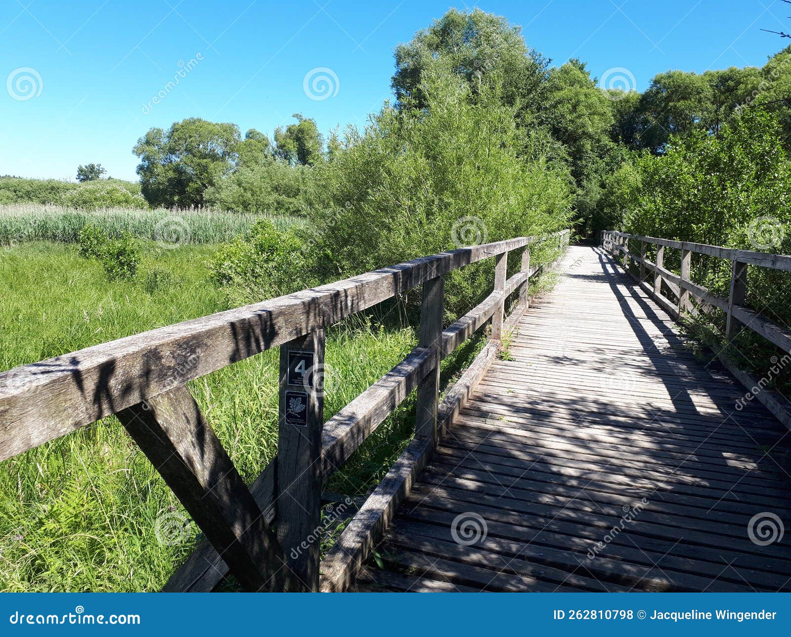 Vacation Destination Nature Wodden Bridge Blue Sky Stock Photo - Image ...