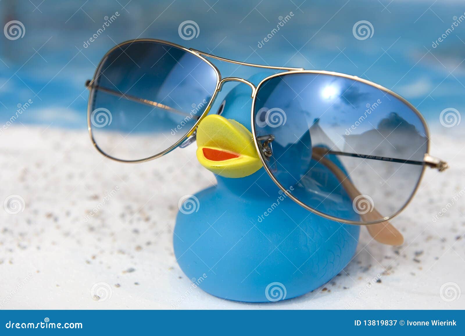 Vacation duck editorial photography. Image of leisure - 13819837